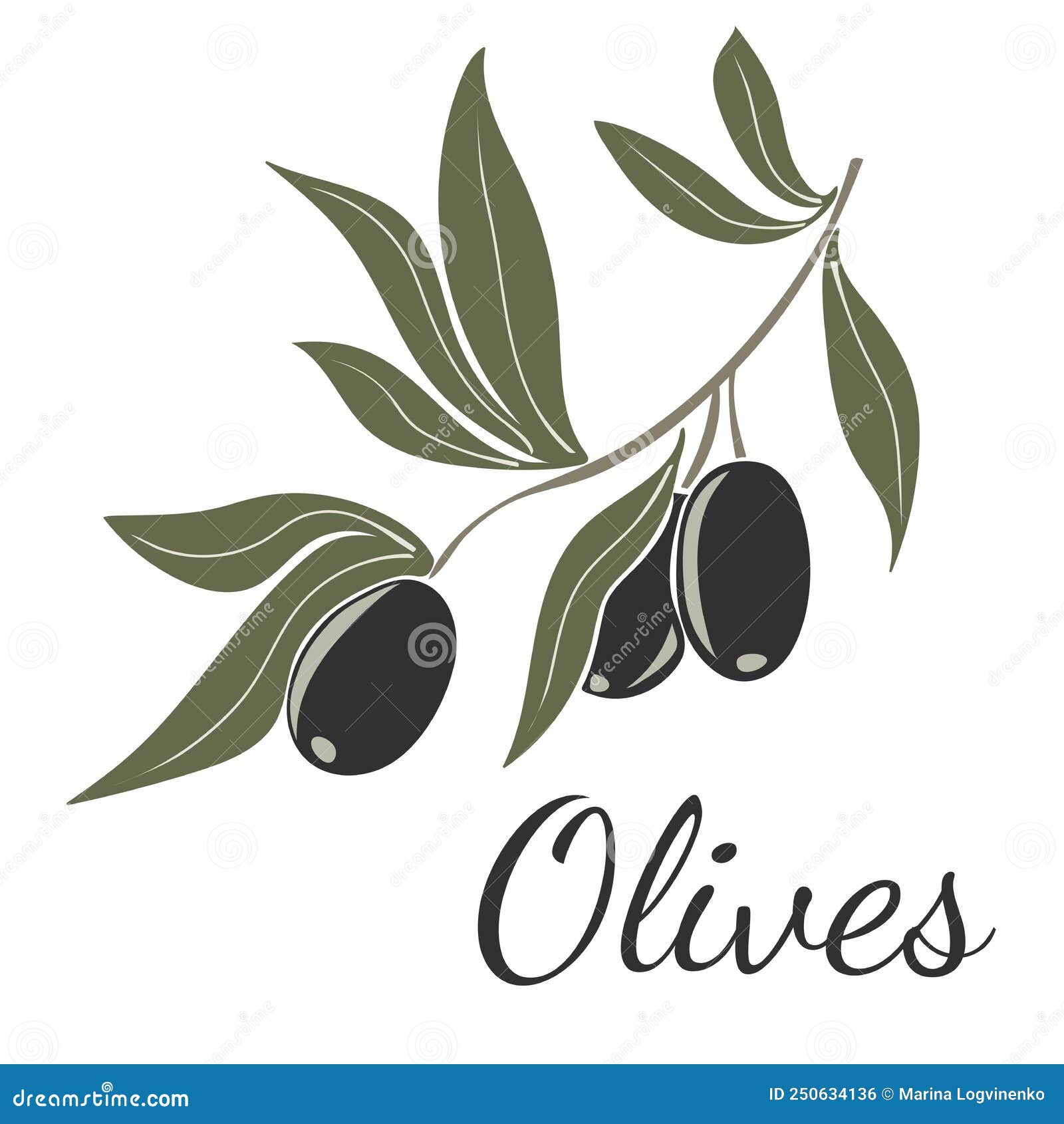 Black Olives on Branches with Leaves Stock Vector - Illustration of ...