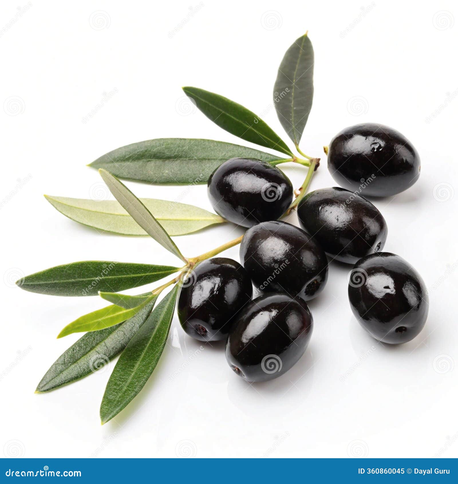 Black Olives with Leaves Isolated on Transparent Background Stock Illustration - Illustration of ...