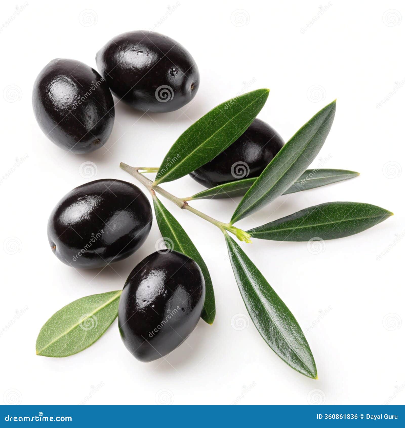 Black Olives with Leaves Isolated on Transparent Background Stock Illustration - Illustration of ...
