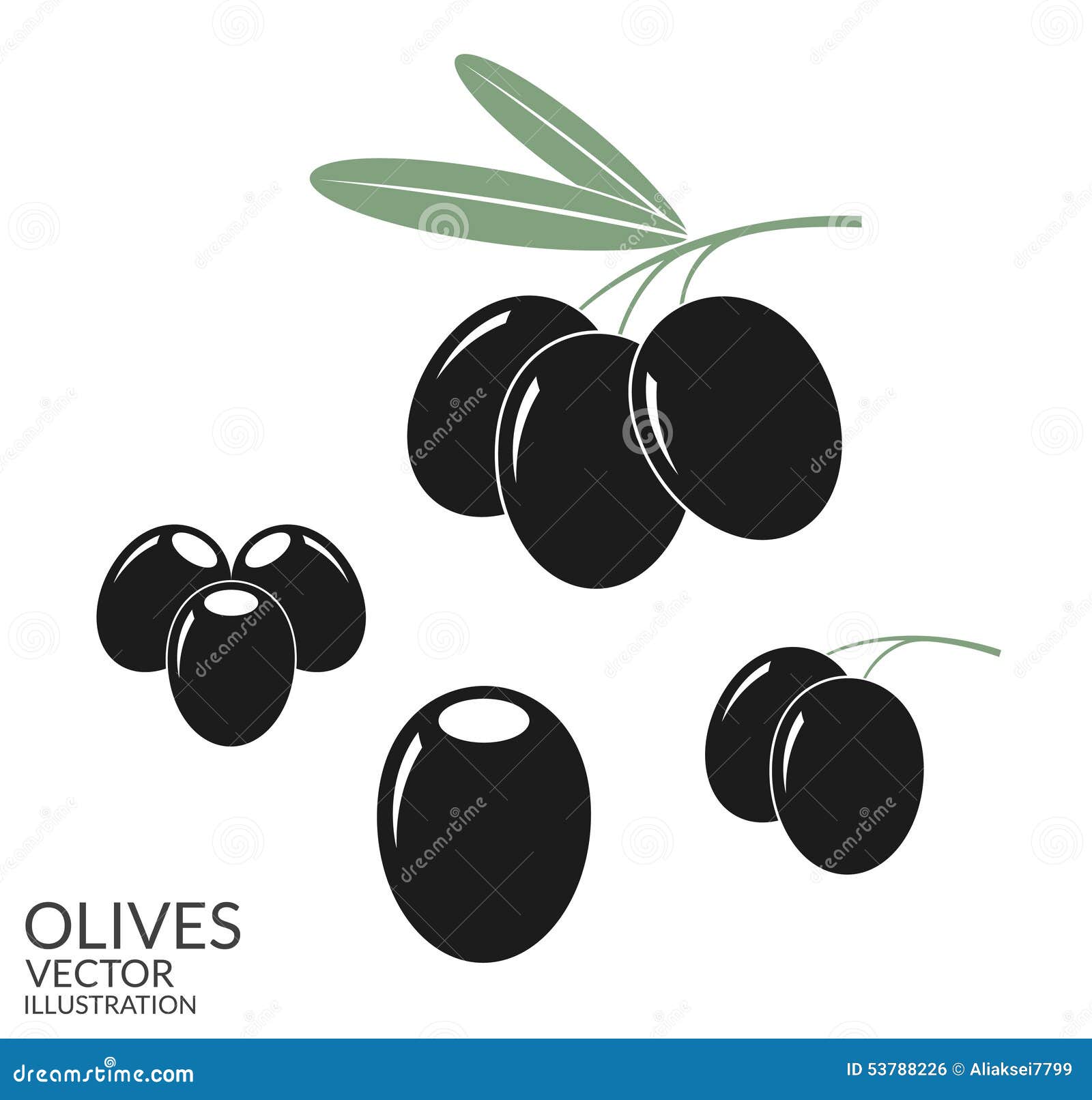 Black olives. Set stock vector. Illustration of unusual - 53788226
