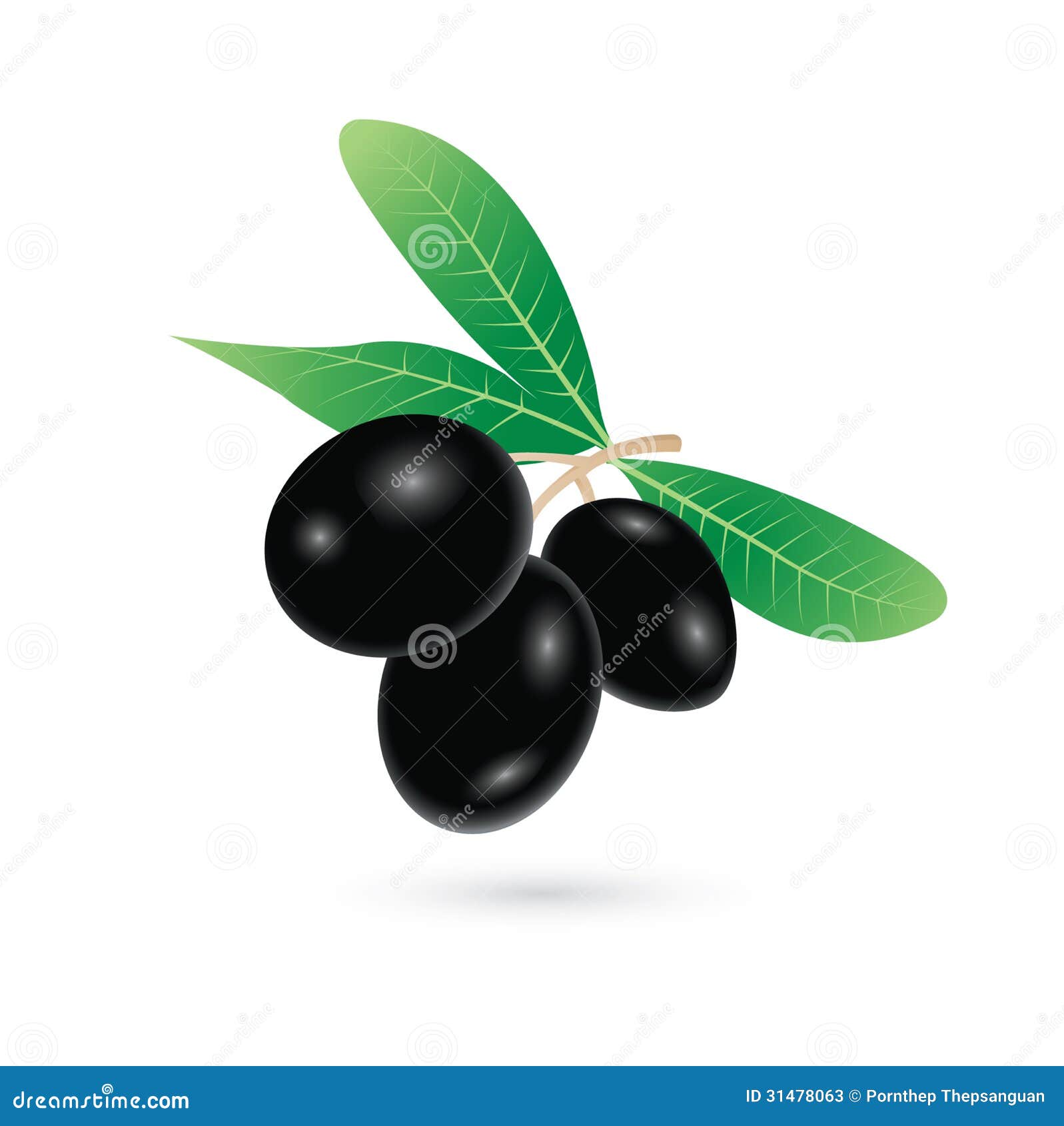 Black olives vector stock illustration. Illustration of berry - 31478063