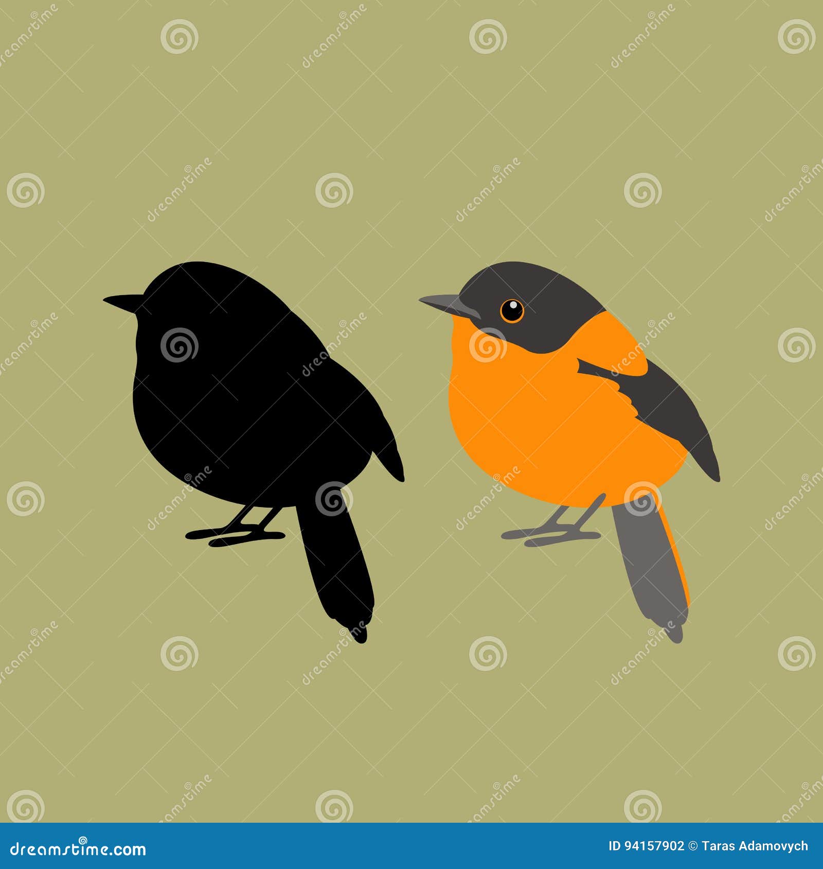 Flycatcher Vector Cartoon Illustration | CartoonDealer.com #134151663