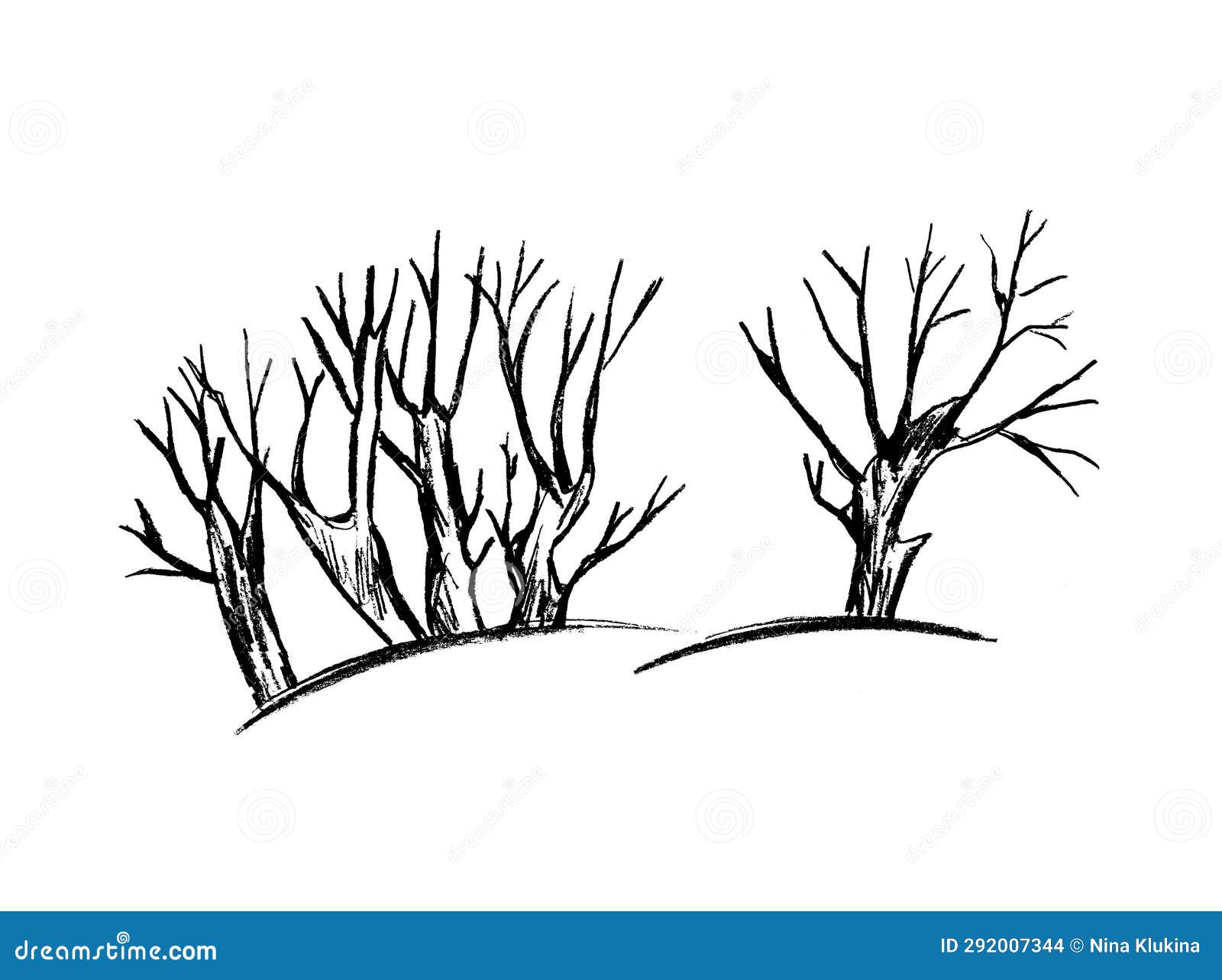 Black Outline of Bare Trees on a White Background Stock Illustration ...