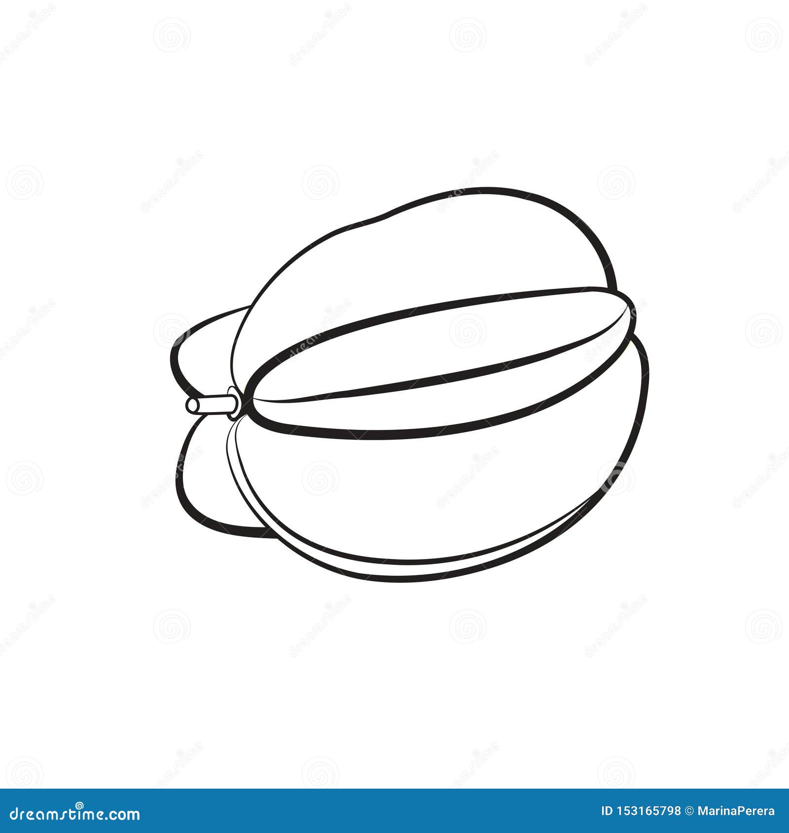 Black Outline Isolated Starfruit Vector Drawing | CartoonDealer.com ...