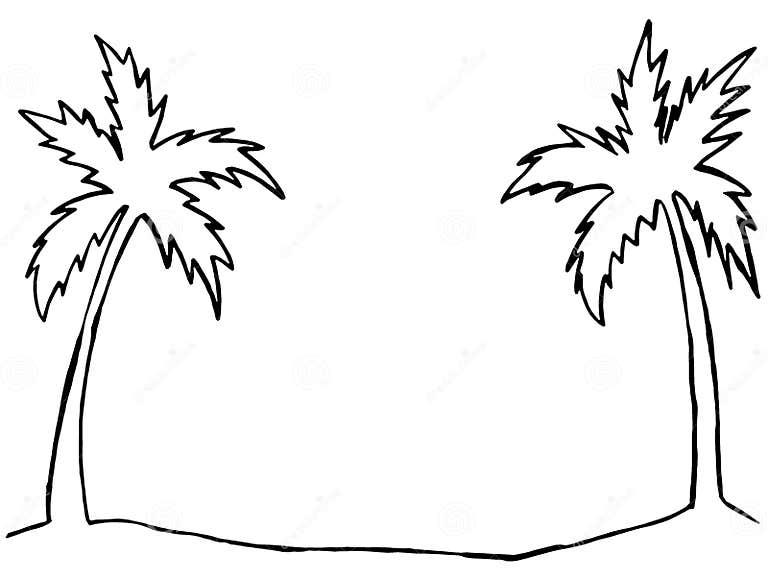 Black Outline of a Palm Tree on a White Background Stock Illustration ...