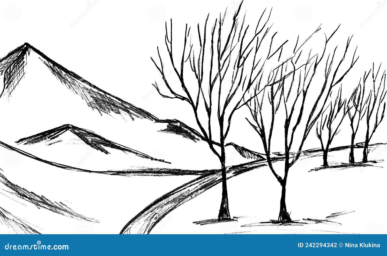Black Outline of Tree Trunks and Branches on a White Background Stock ...