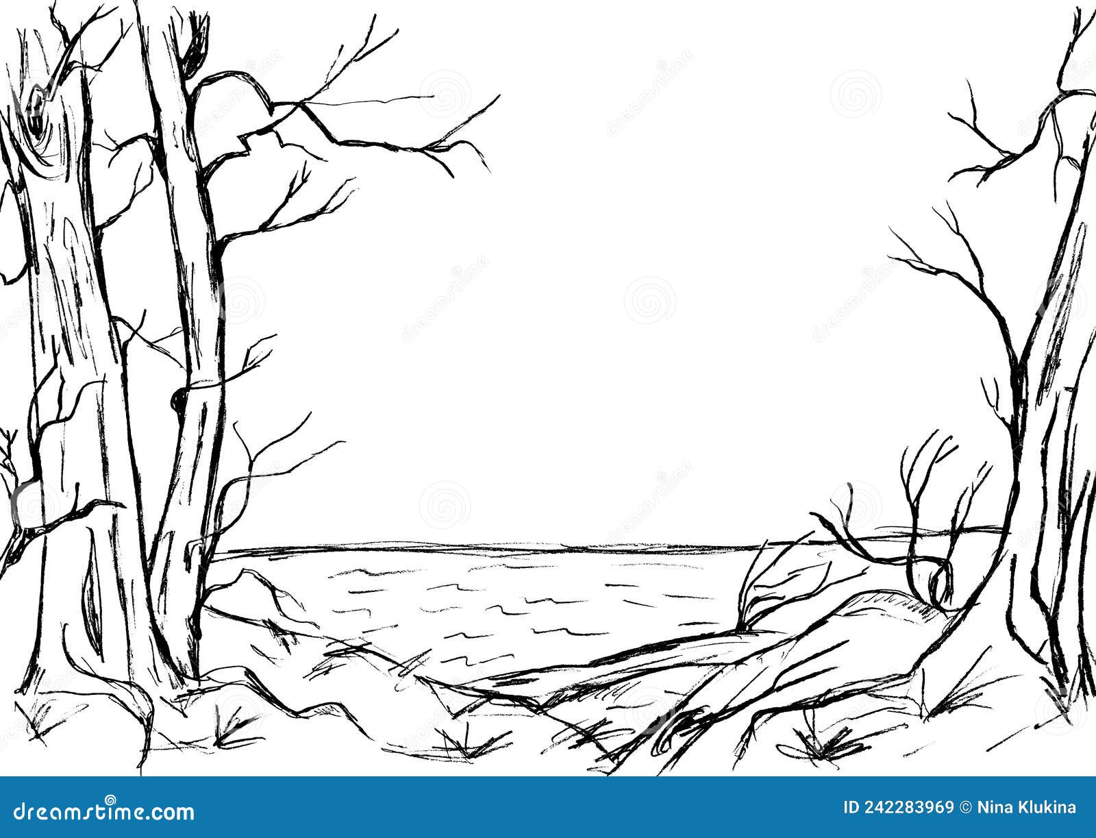 Black Outline of Tree Trunks and Branches on a White Background Stock ...