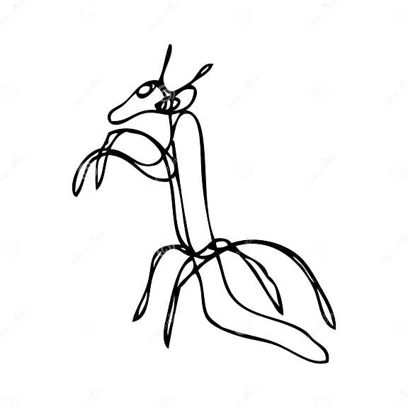 Black Outline Vector Sketch of Mantis Stock Vector - Illustration of ...