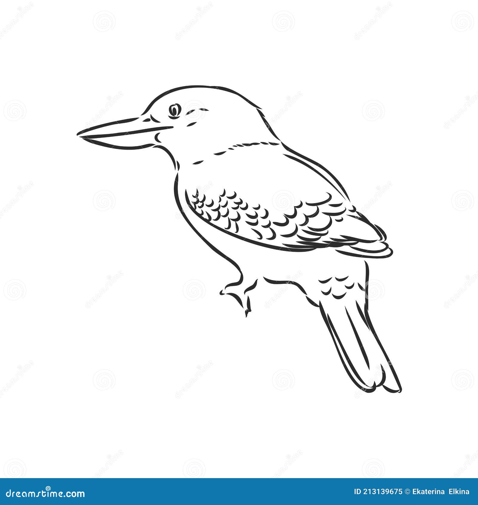 Black Outlined Kookaburra Bird-vector Drawing, Kookaburra Vector Sketch ...