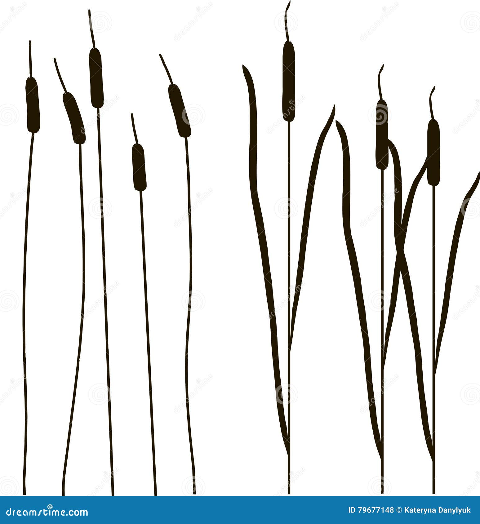Black Outlines of Cattail Vector Illustration Stock Vector ...