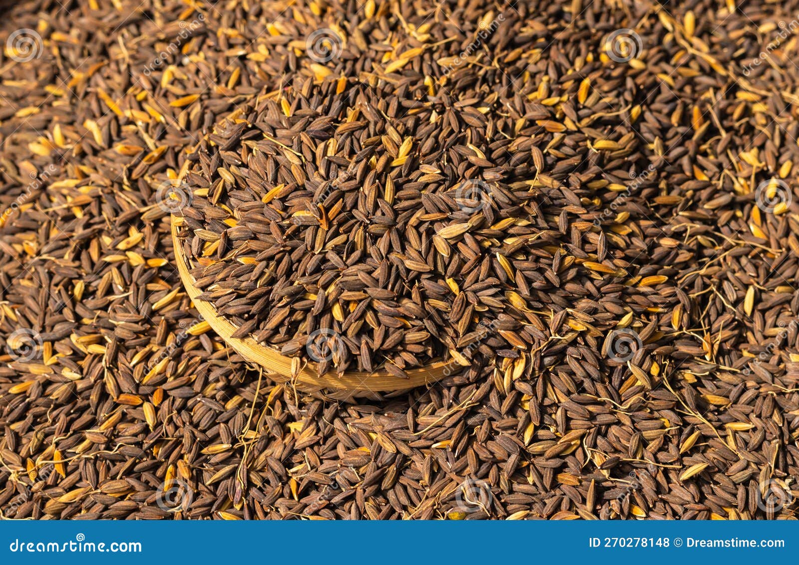 Black Paddy Rice Seeds in Bamboo Bowl from Top Angle at Day Stock Photo ...