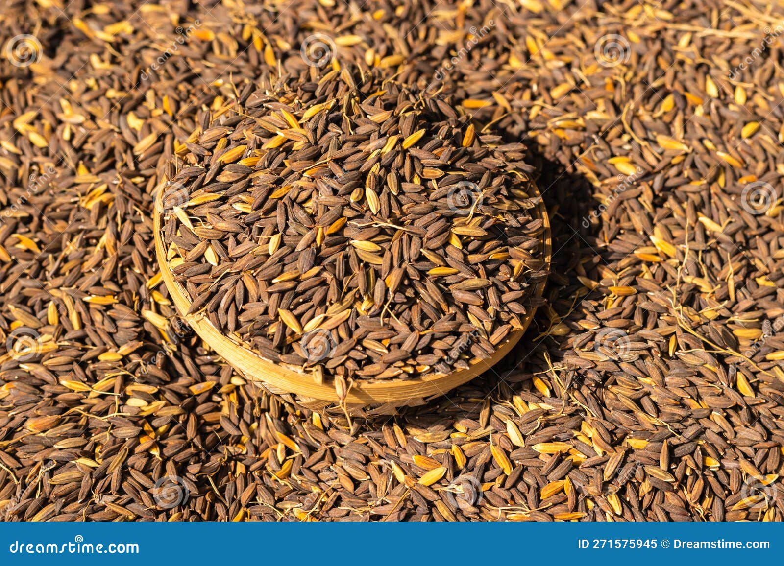 Black Paddy Rice Seeds in Bamboo Bowl from Top Angle at Day Stock Image ...