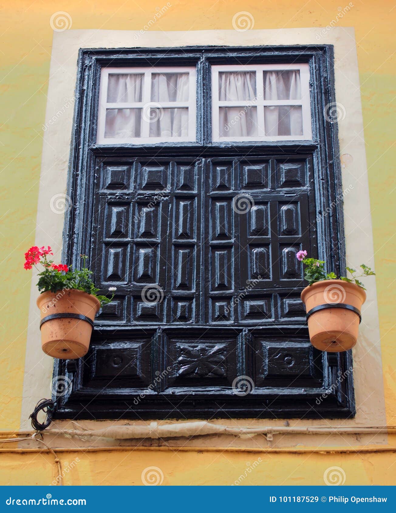 Black Painted Shuttered Window with Plants Stock Image - Image of ...