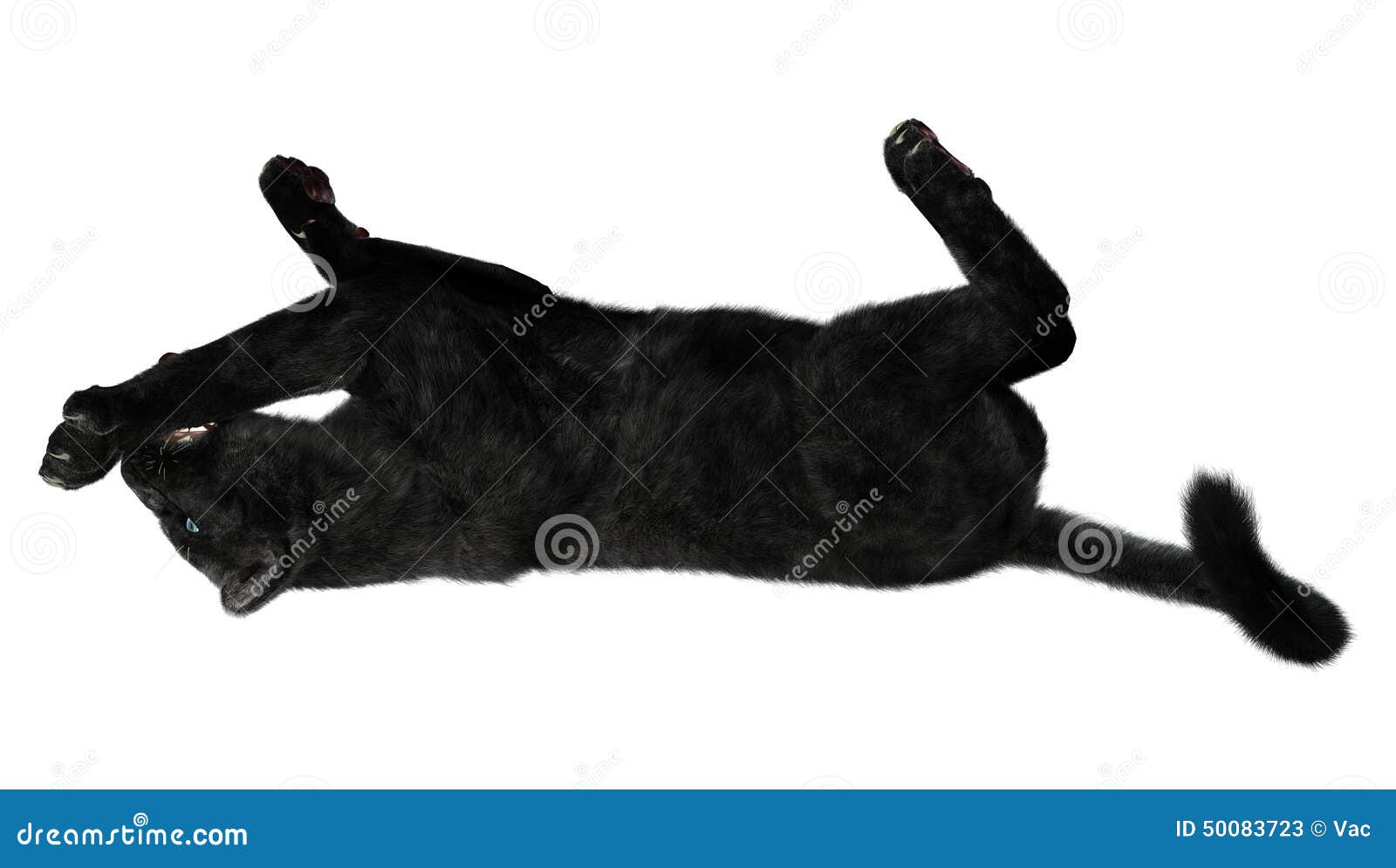 Black Panther stock illustration. Illustration of panther - 50083723