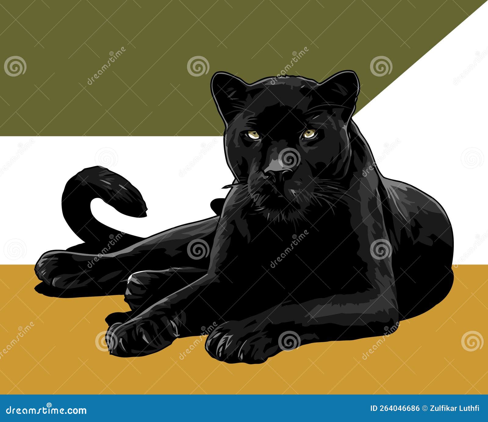 The Puma Is Lying Full Length And Looks Away With A Calm Balanced Gaze ...