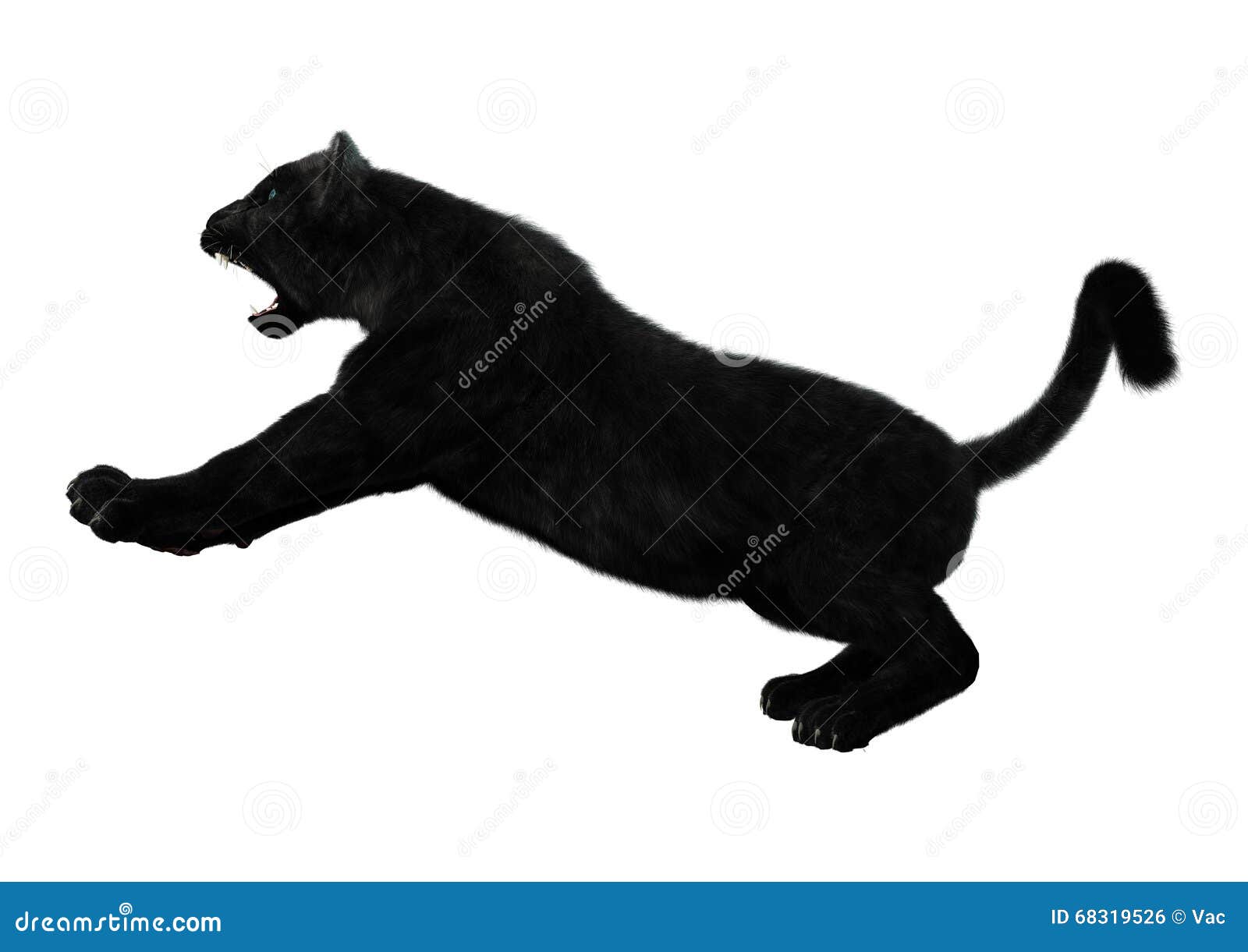 Black Puma Cat Jumping