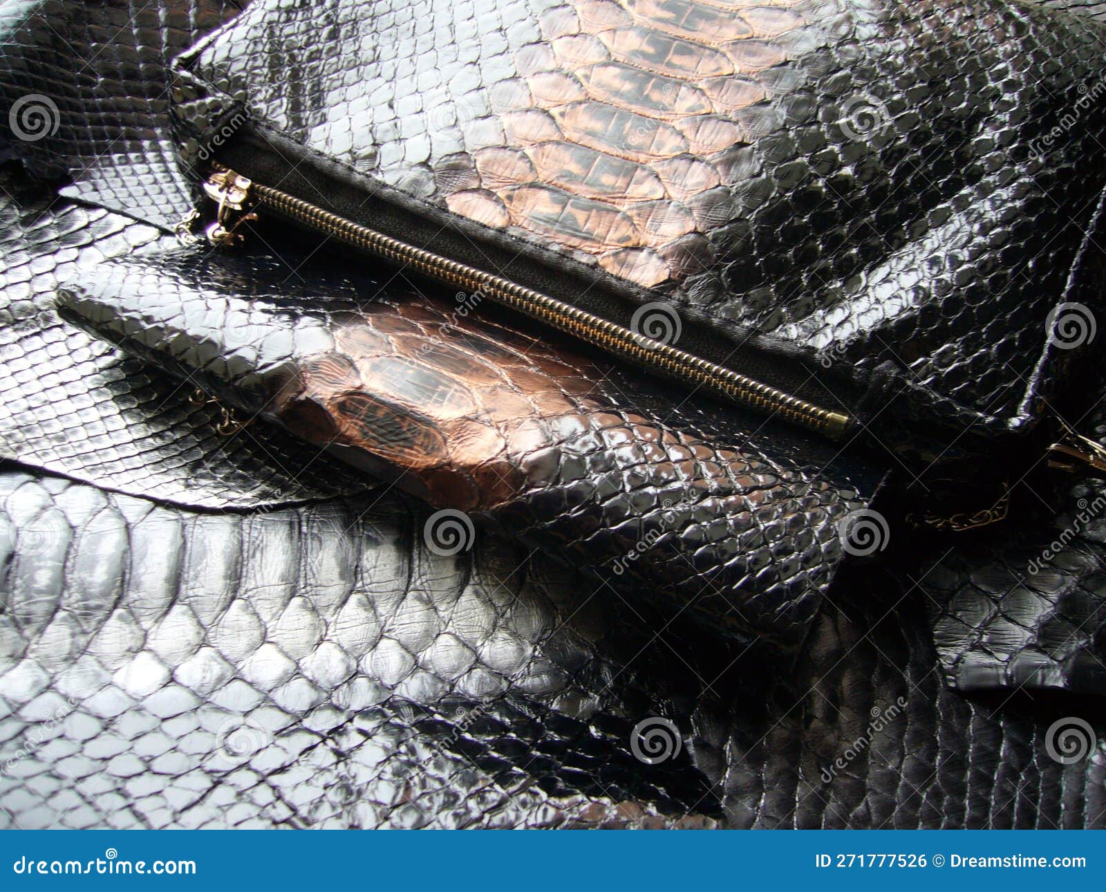 Black Patent Bag Made of Python Skin. Crossbody Stock Photo - Image of insect, luxury: 271777526