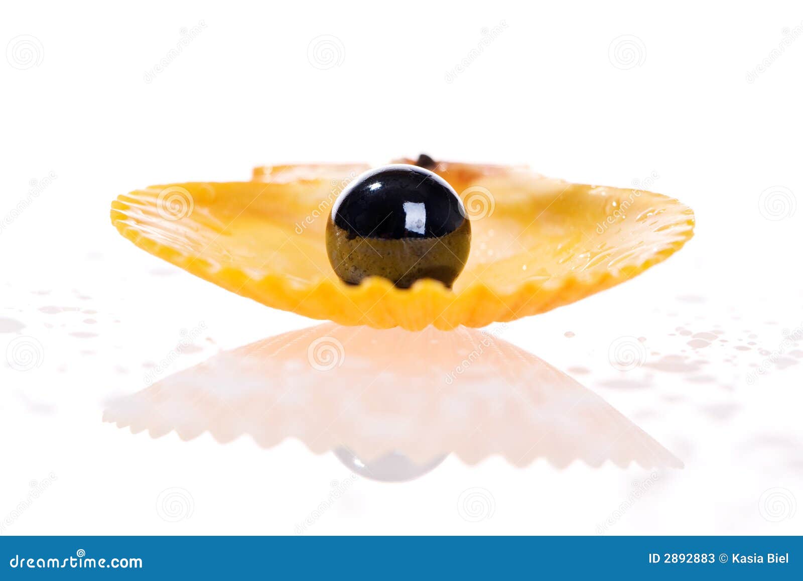 Black Pearl stock image. Image of shellfish, reflection - 2892883