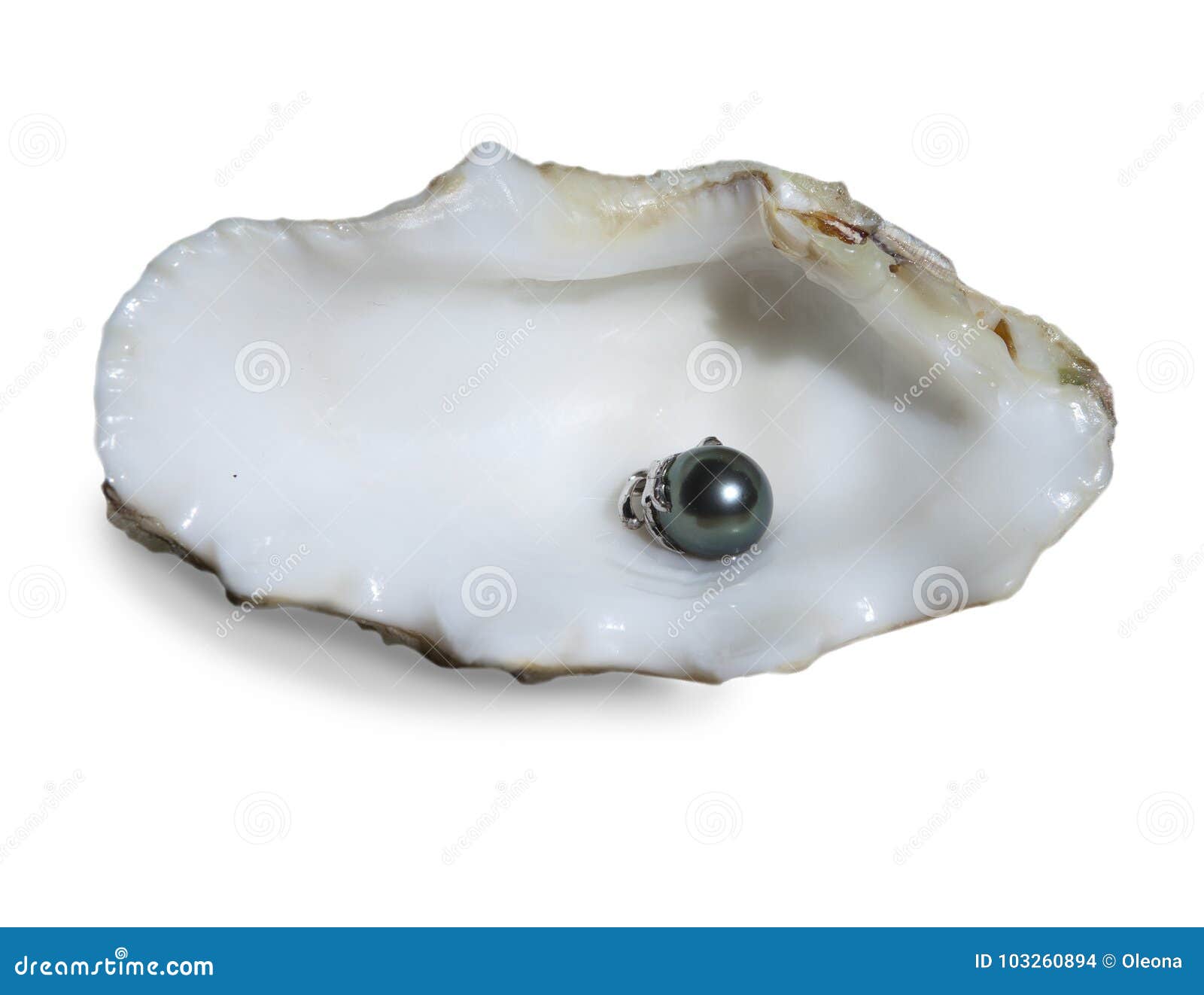 Black Pearl Lies in a Shell Stock Photo - Image of shell, sand: 103260894