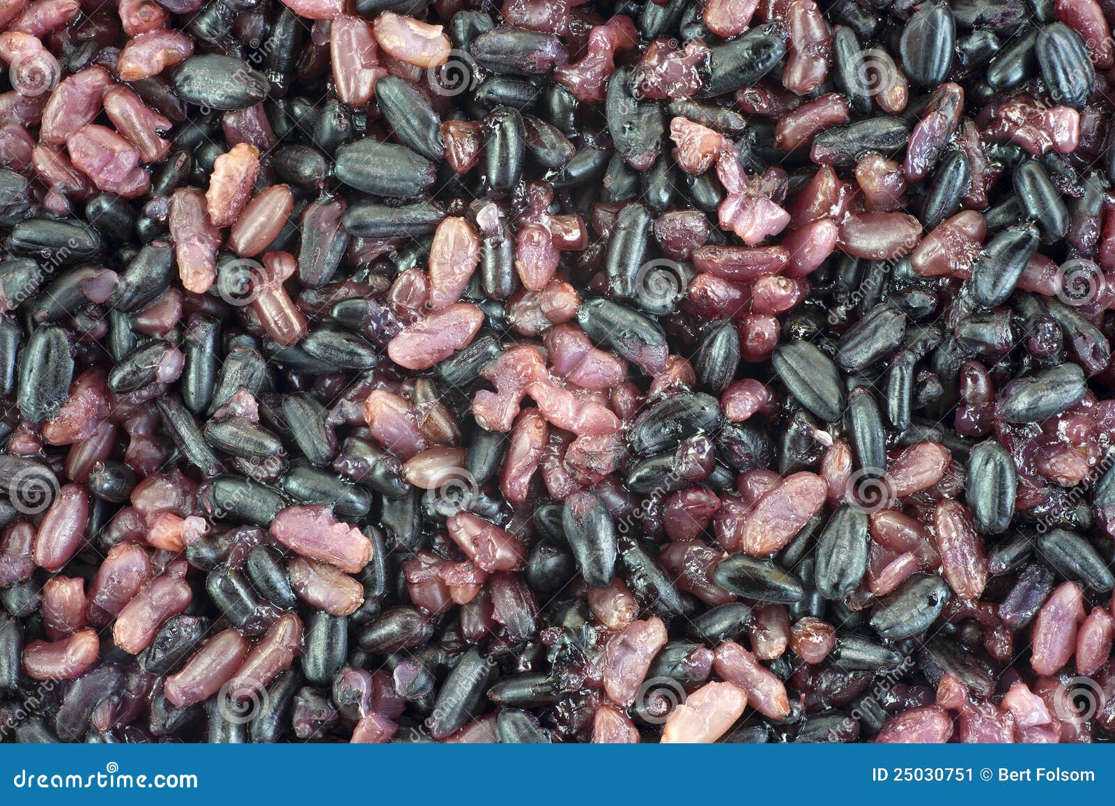 Black pearl rice stock image. Image of gourmet, dinner - 25030751