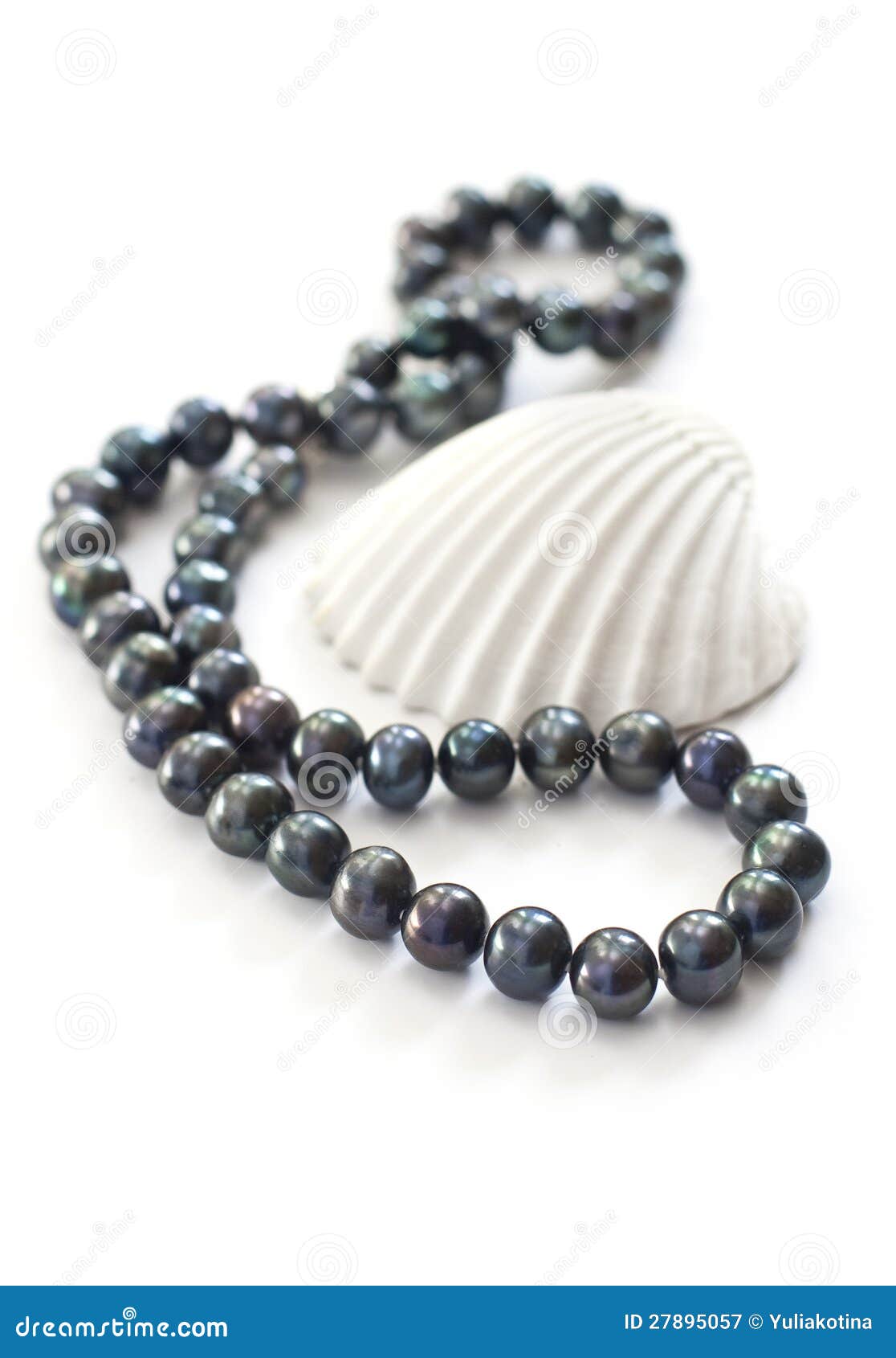Black pearls and sea shell stock image. Image of collection - 27895057