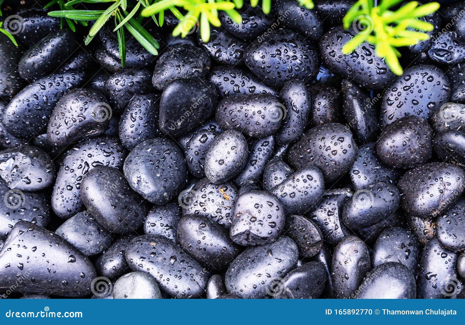 Black Pebble with Drop of Water Stock Photo - Image of nature ...
