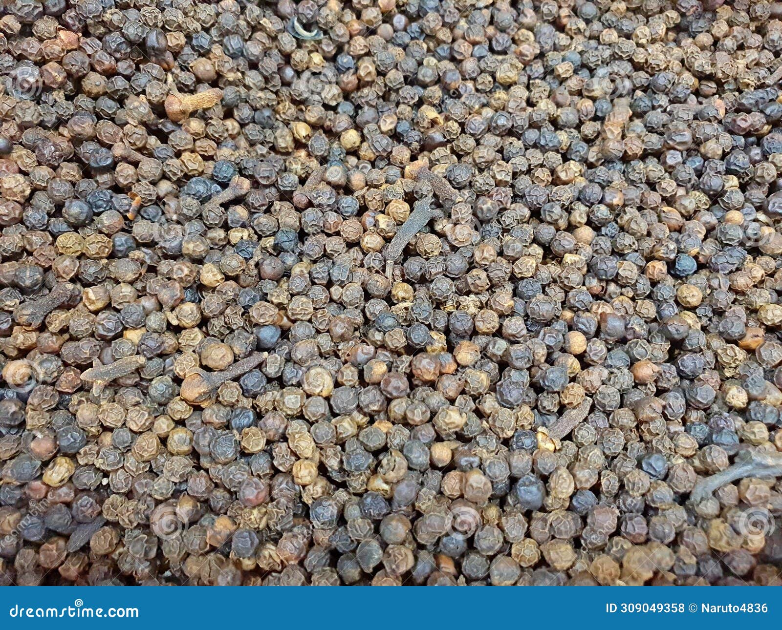 Black pepper corn stock photo. Image of pieces, spice - 309049358