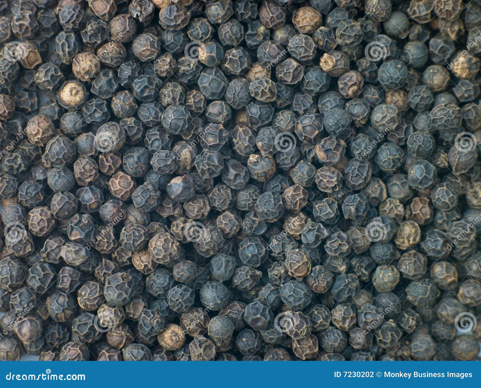 Black Pepper Corns stock photo. Image of pepper, food - 7230202