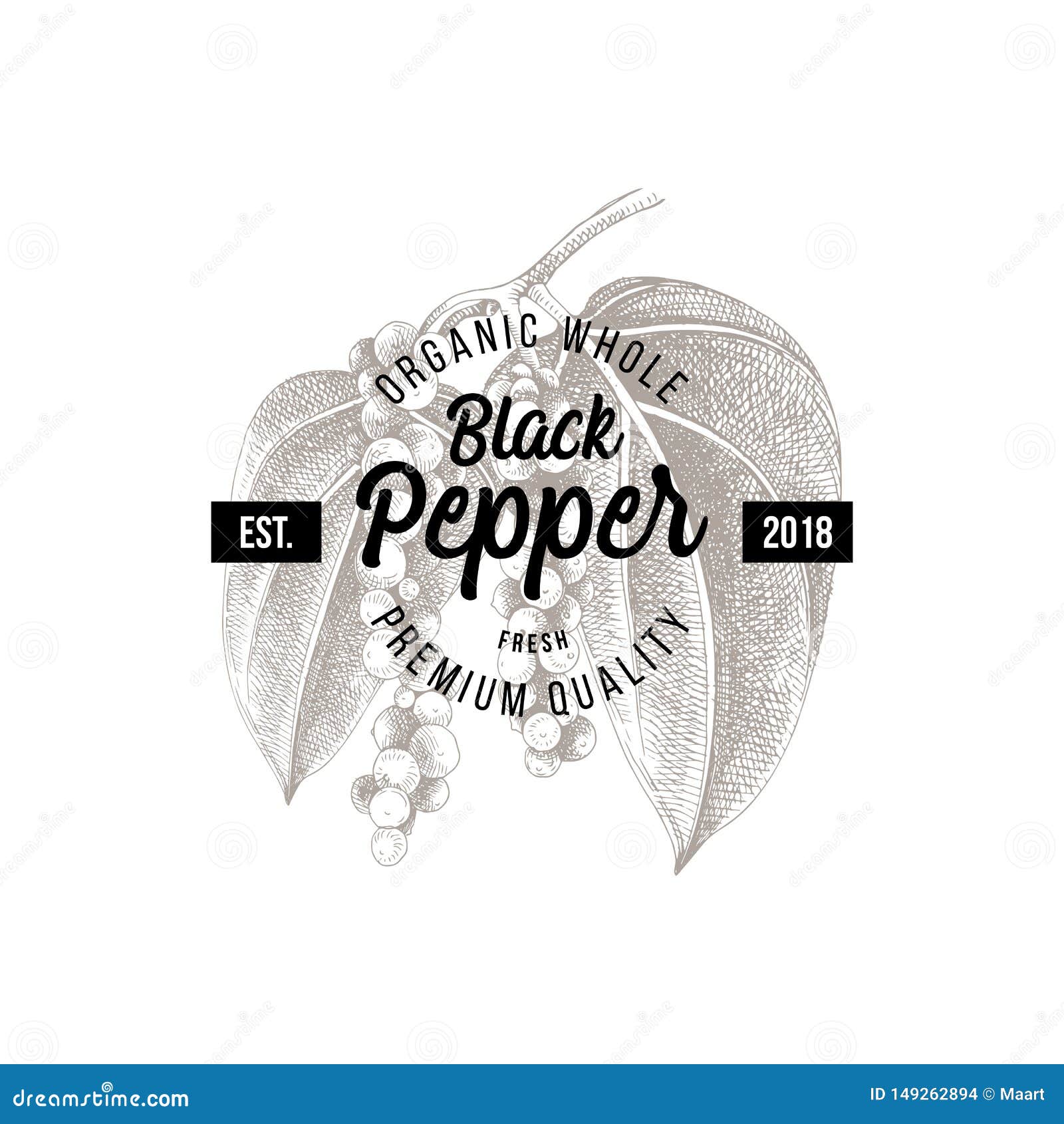 Black Pepper Emblem Over Hand Drawn Pepper Plant Stock Vector ...