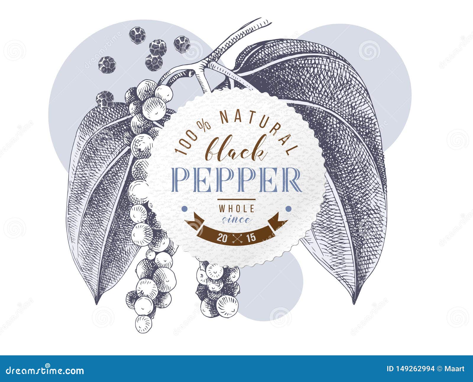 Black Pepper Emblem Over Hand Drawn Pepper Plant Stock Vector ...
