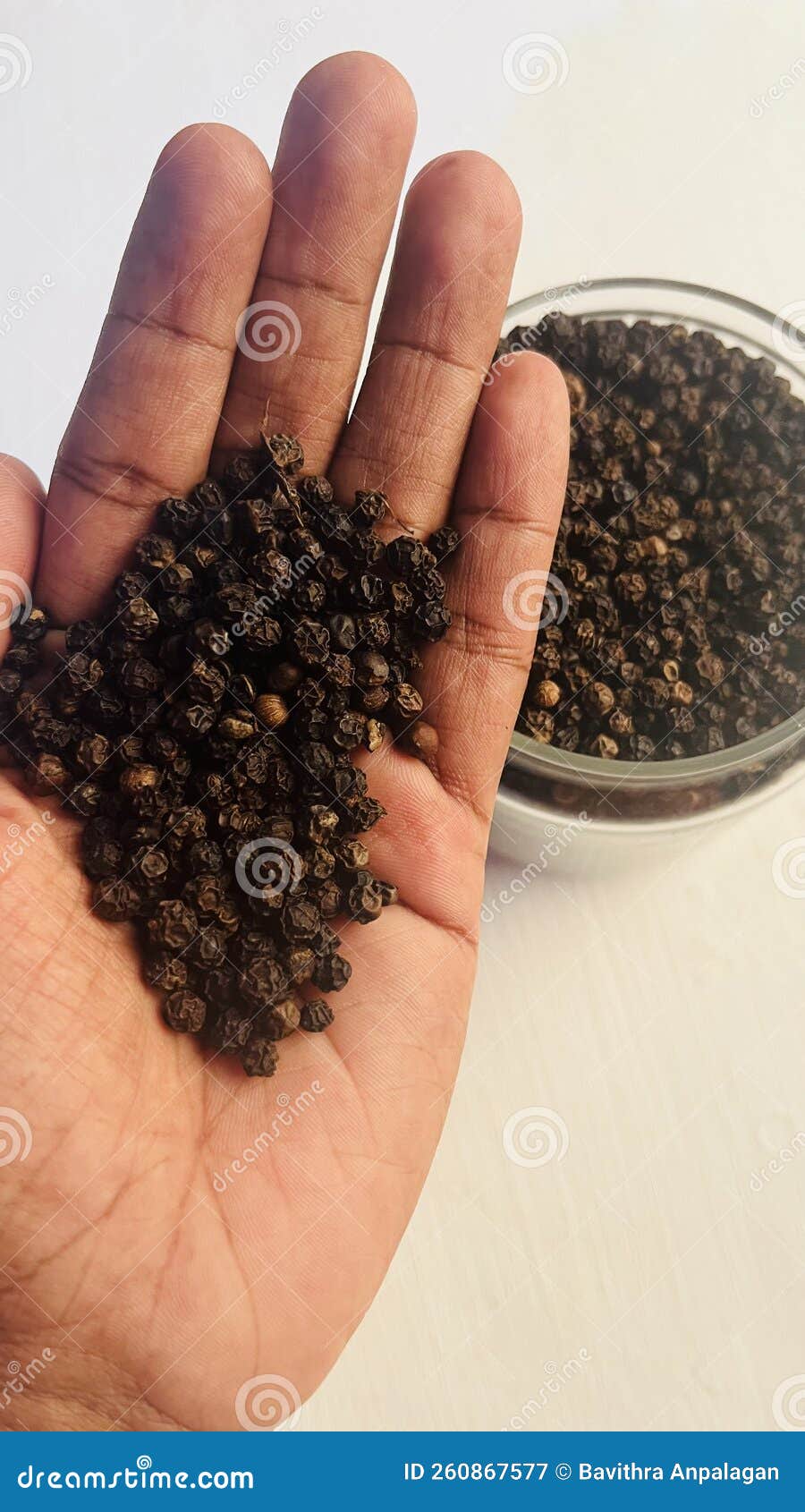 Black pepper in hand stock image. Image of brassica - 260867577