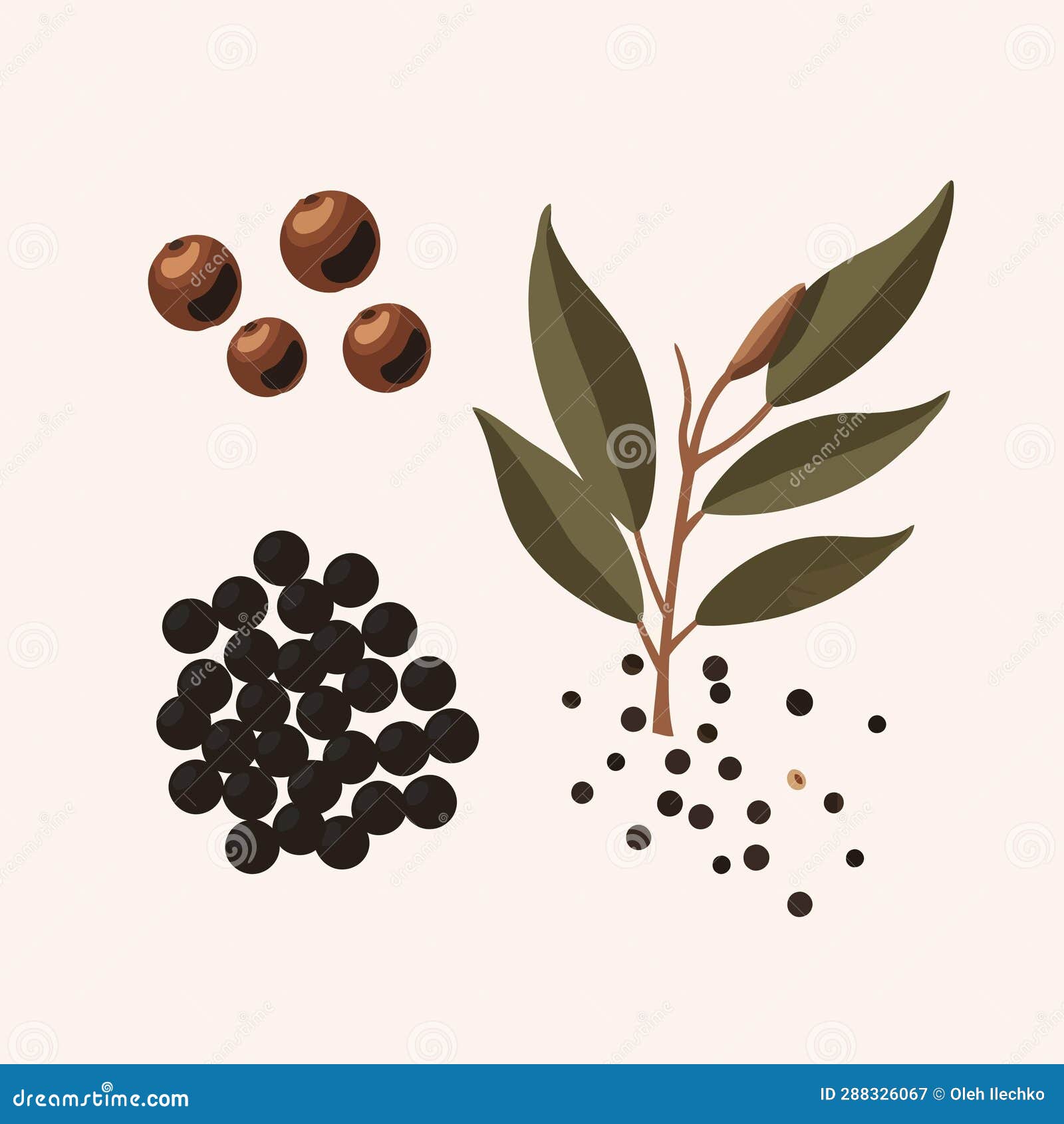 Black Pepper Vector Flat Minimalistic Isolated Illustration Stock ...
