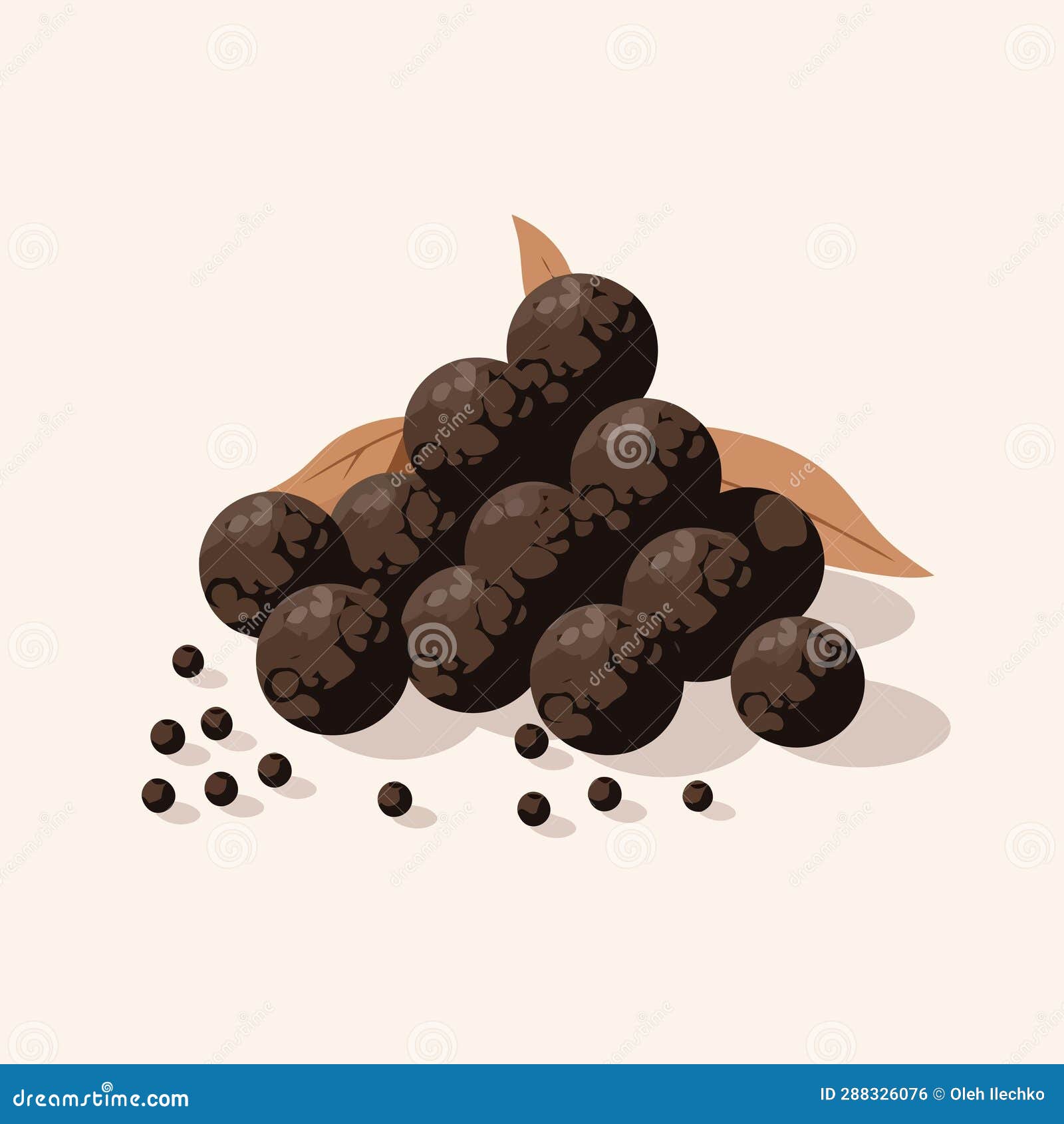 Black Pepper Vector Flat Minimalistic Isolated Illustration Stock ...