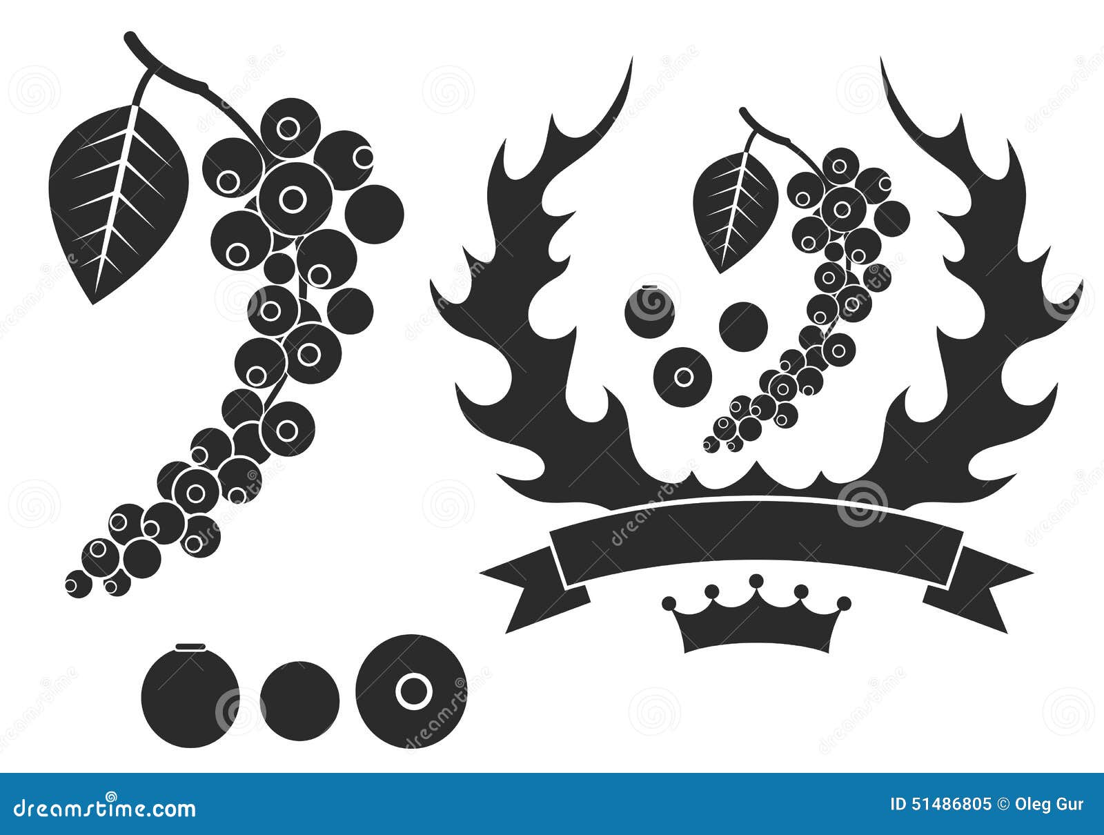 Black pepper stock vector. Illustration of agriculture - 51486805