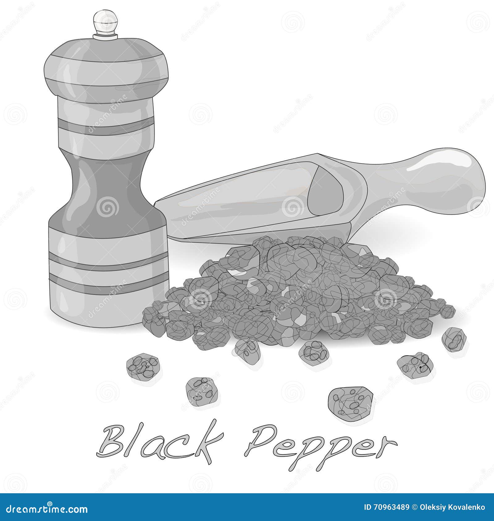 Black Pepper Vector Isolated Stock Vector - Illustration of organic ...