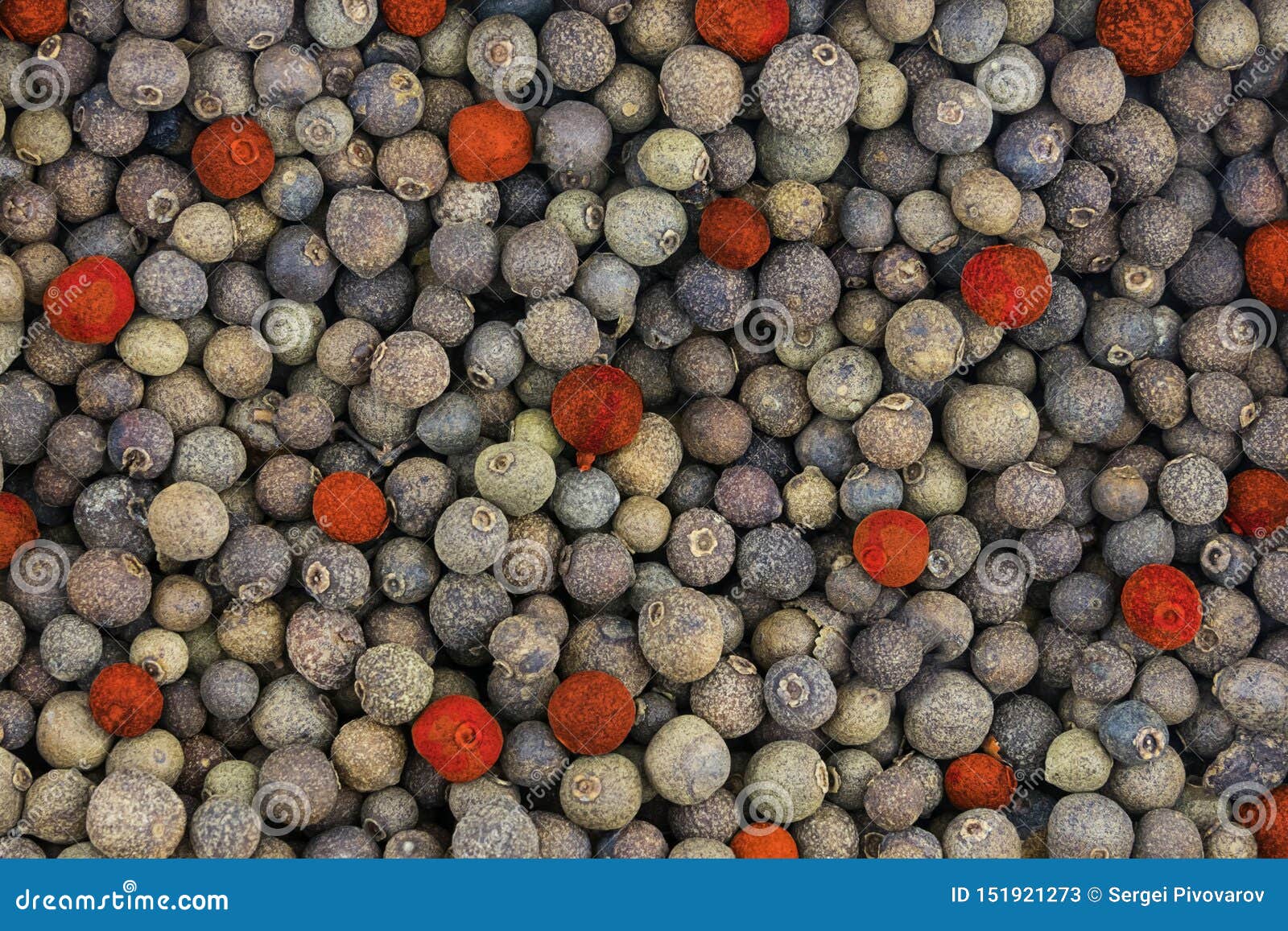 Black Peppercorn Polka Dots Large Red Pepper Special Red Round Panel ...