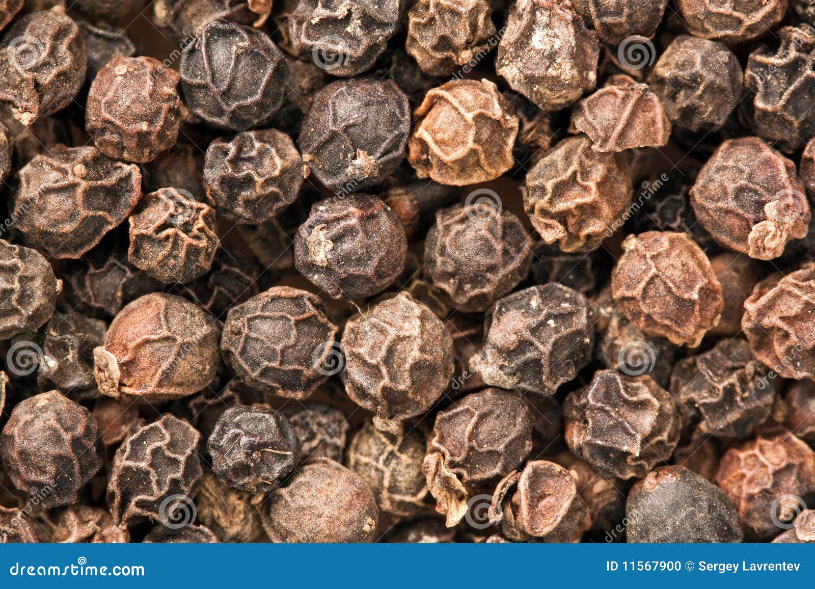 Black peppercorns stock photo. Image of pepper, close - 11567900