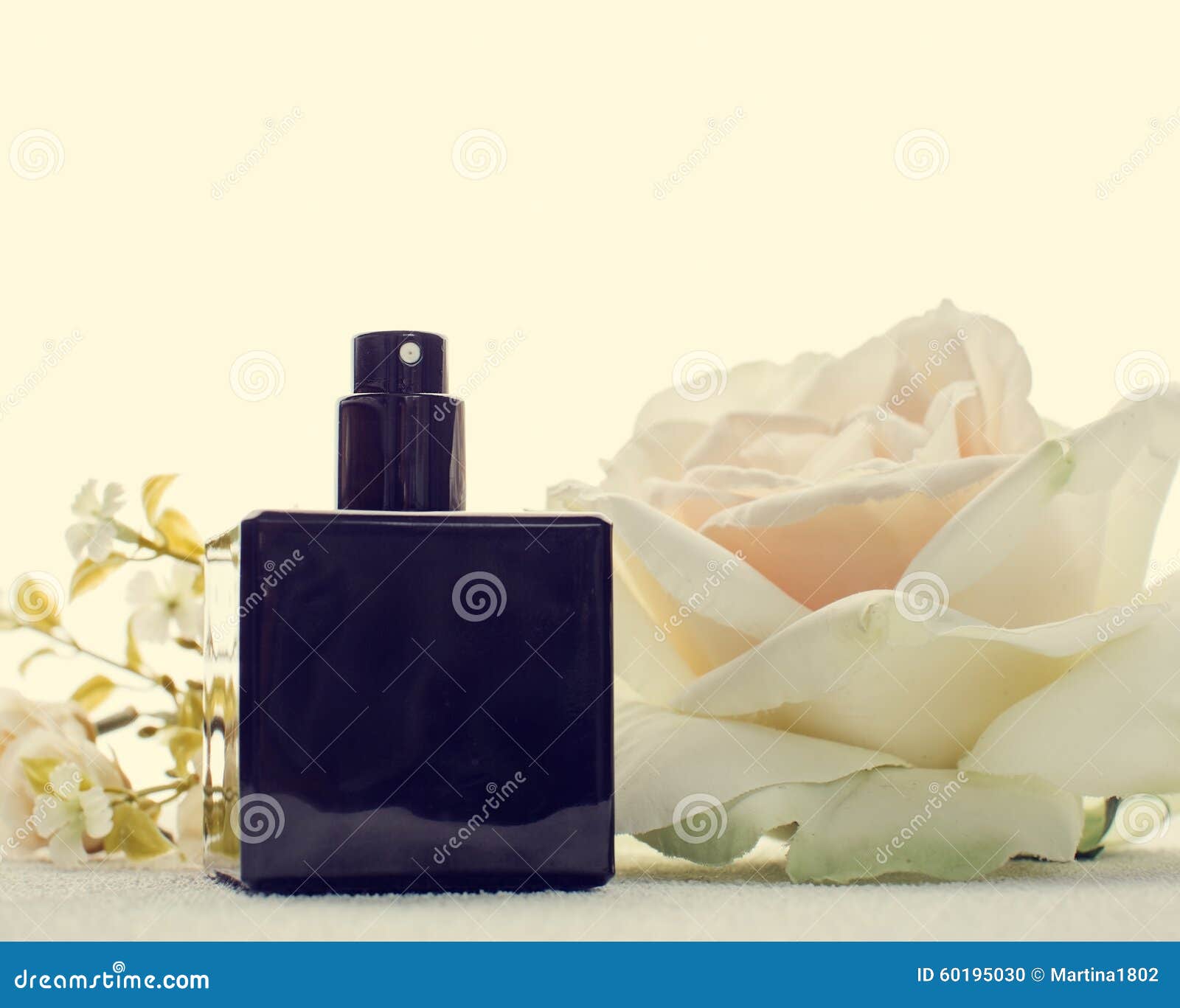 Black Perfume Bottle and Flower Stock Photo - Image of perfumery, care ...