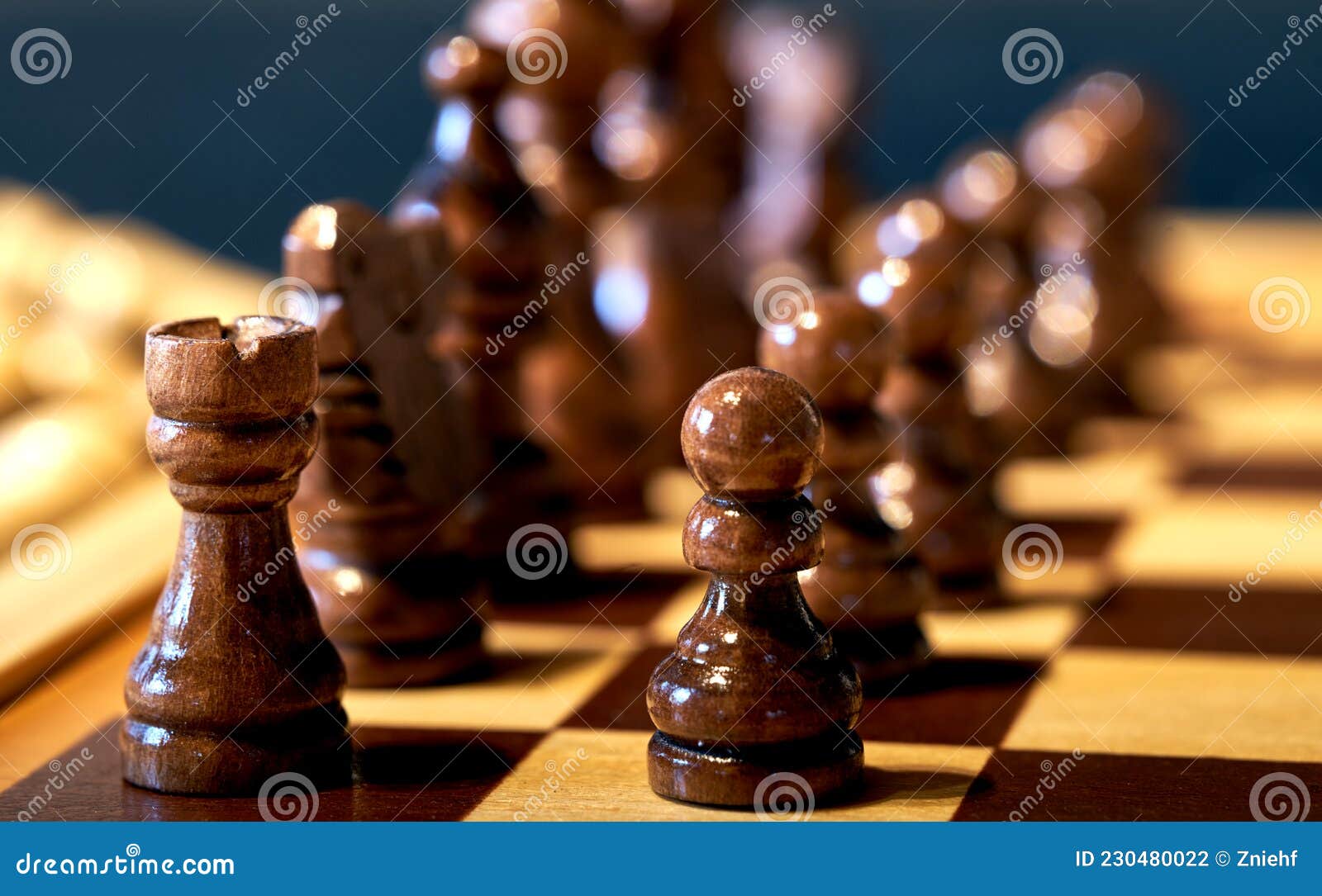 Black Pieces on the Chess Board in the Basic Position at the Beginning ...