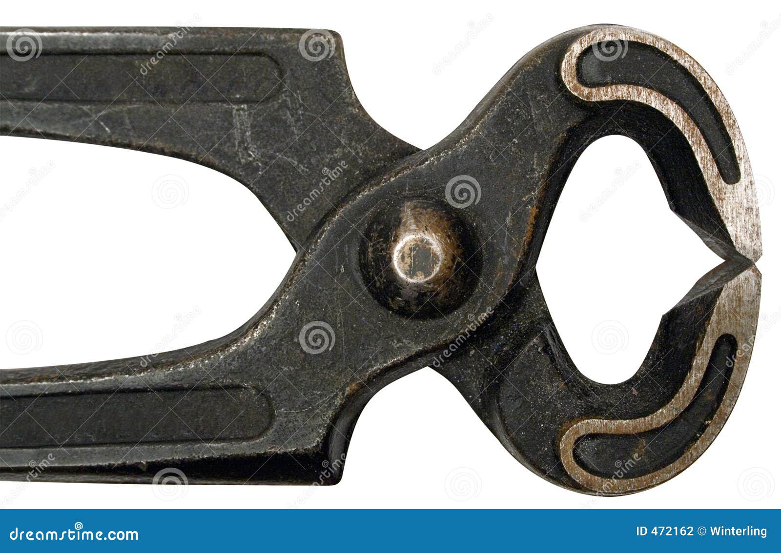 Black Pincer W/ Path (Close View) Stock Photo - Image of danger, claw ...