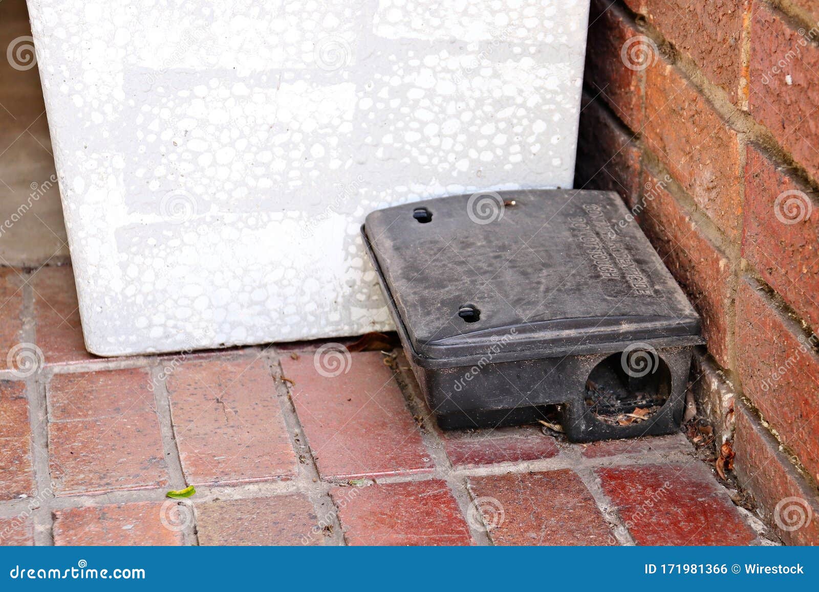 A black plastic rat trap. stock photo. Image of bait - 171981366