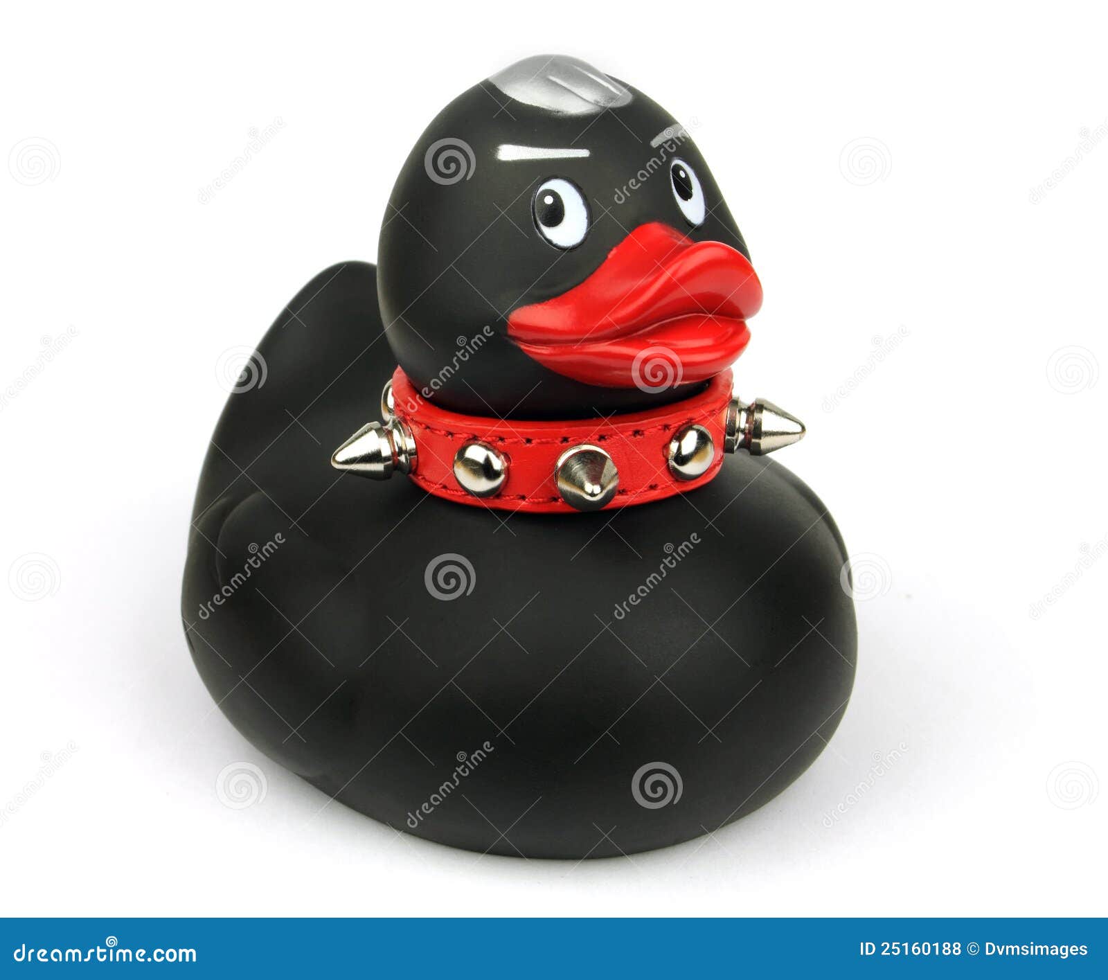 Punk Duck Photos - Free & Royalty-Free Stock Photos from Dreamstime