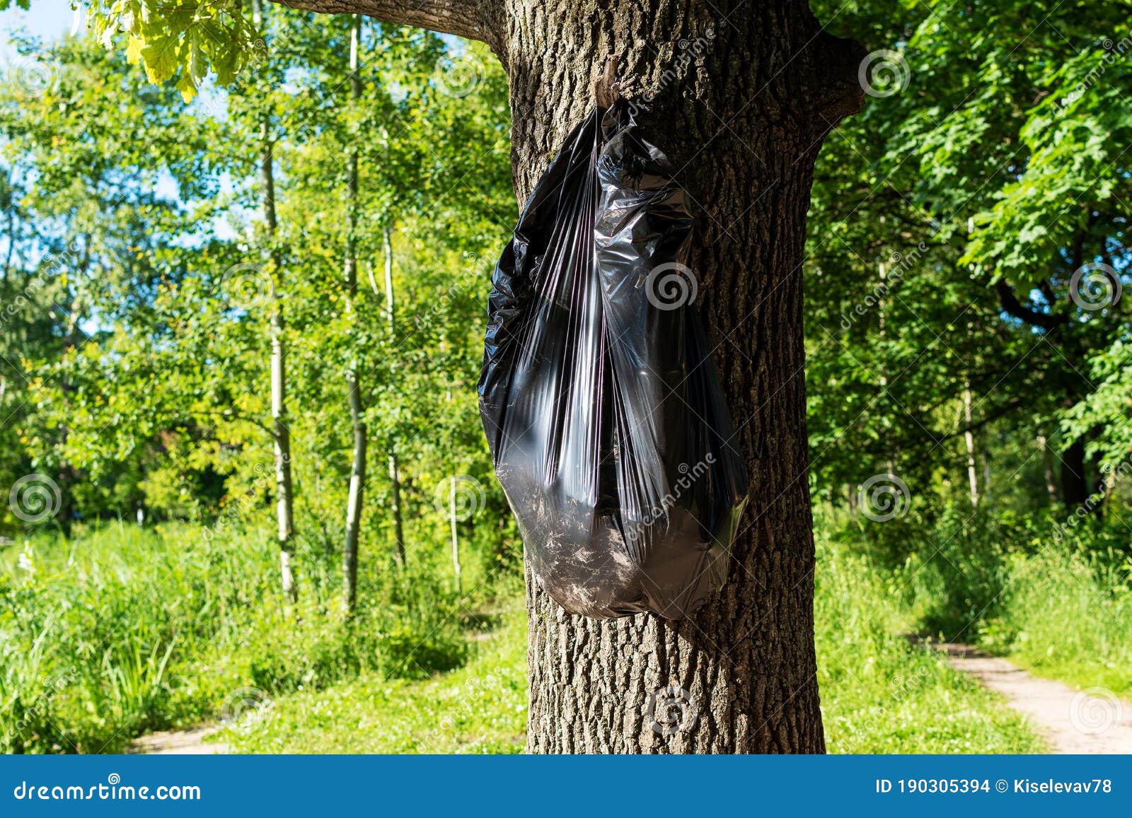 Black Plastic Trash Bag Hanging on a Tree. Caring for the Environment ...