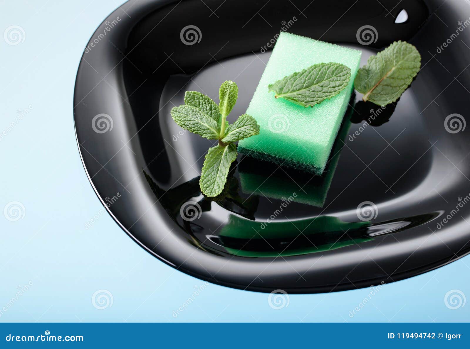 Black Plate and Dish Sponge . Stock Photo - Image of concept, fresh ...