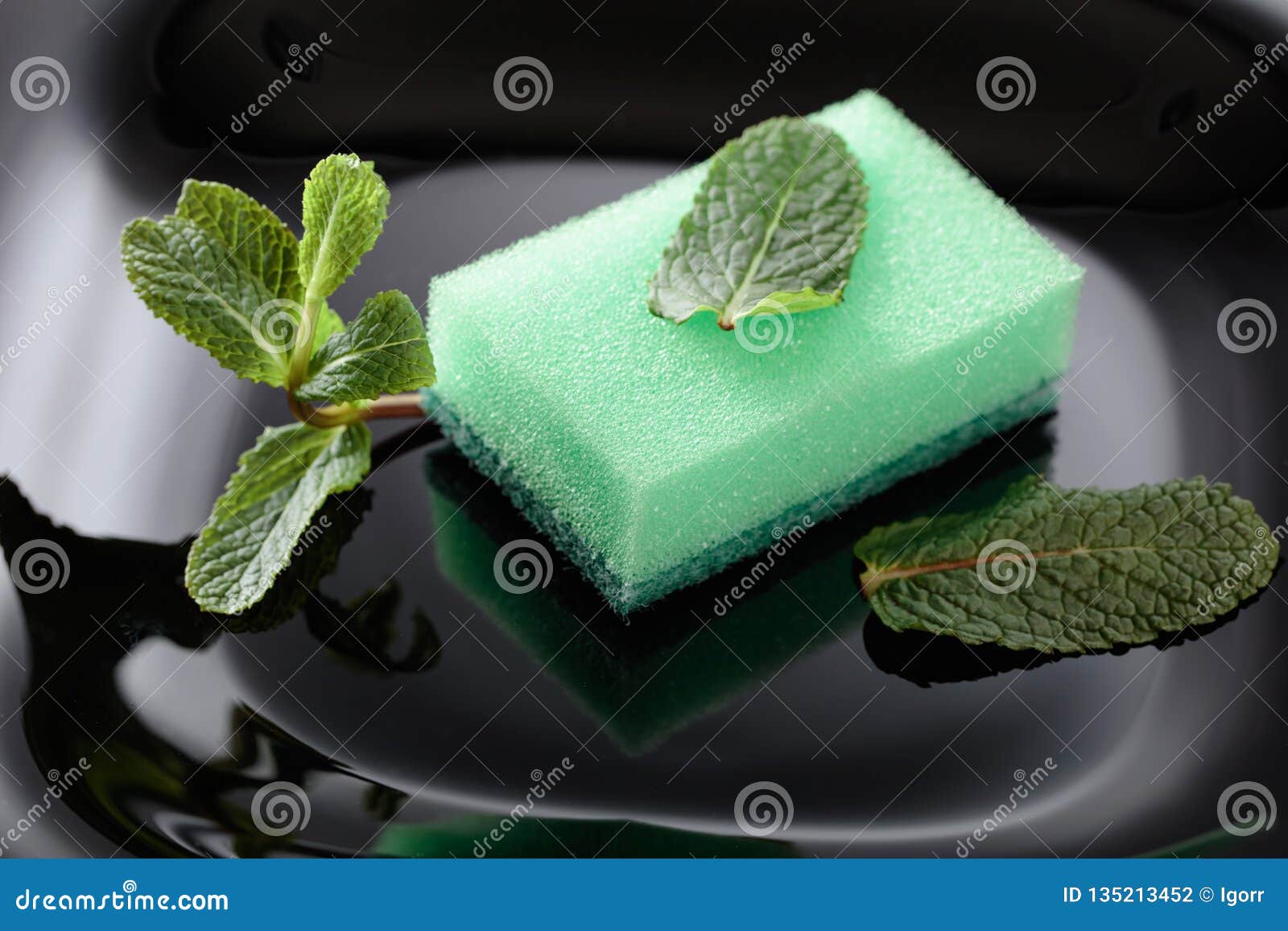 Black Plate and Dish Sponge Stock Photo - Image of mint, dishware ...