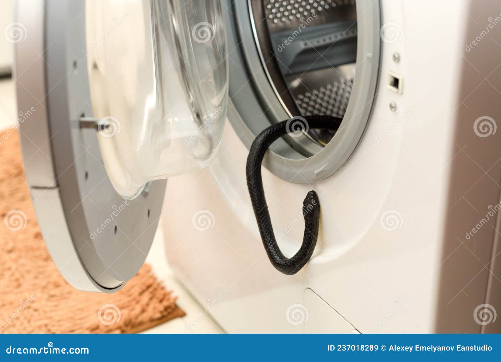 Black Poisonous Snake in the Drum of Washing Stock Image - Image of ...
