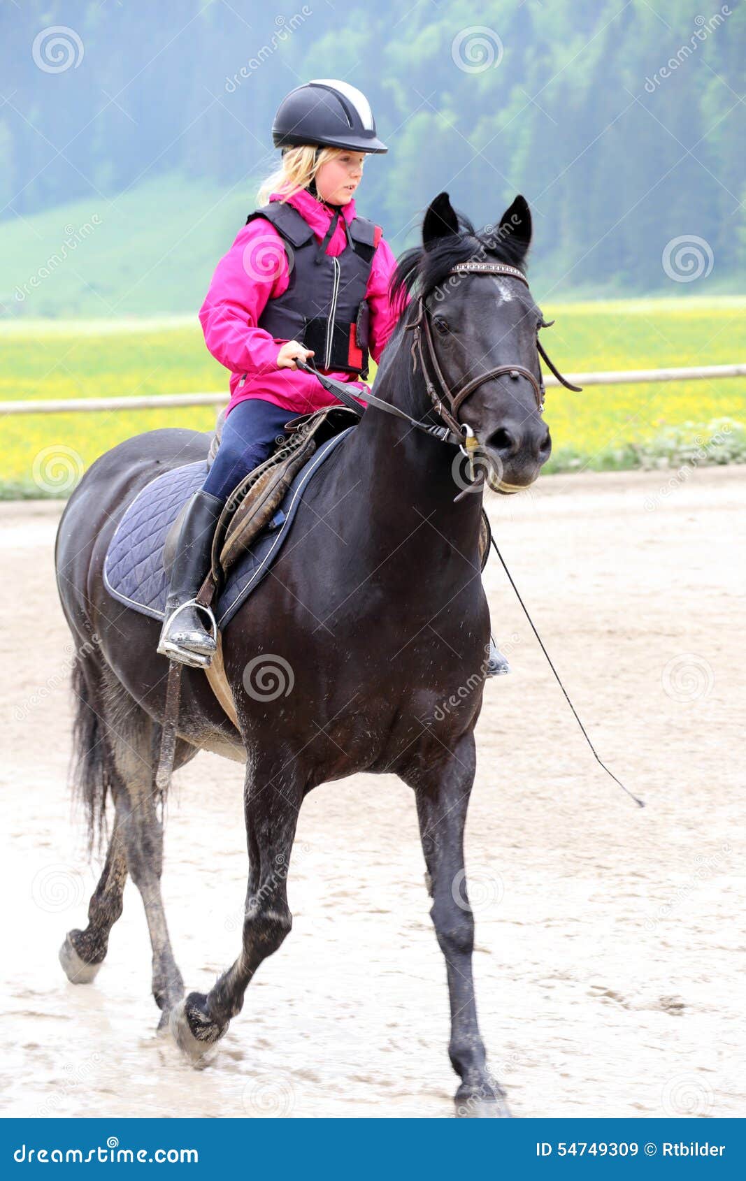 Black pony and girl stock image. Image of freedom, black - 54749309