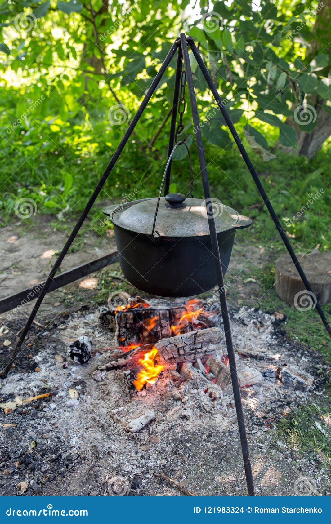 Pot on the fire stock photo. Image of meal, traditional - 121983324