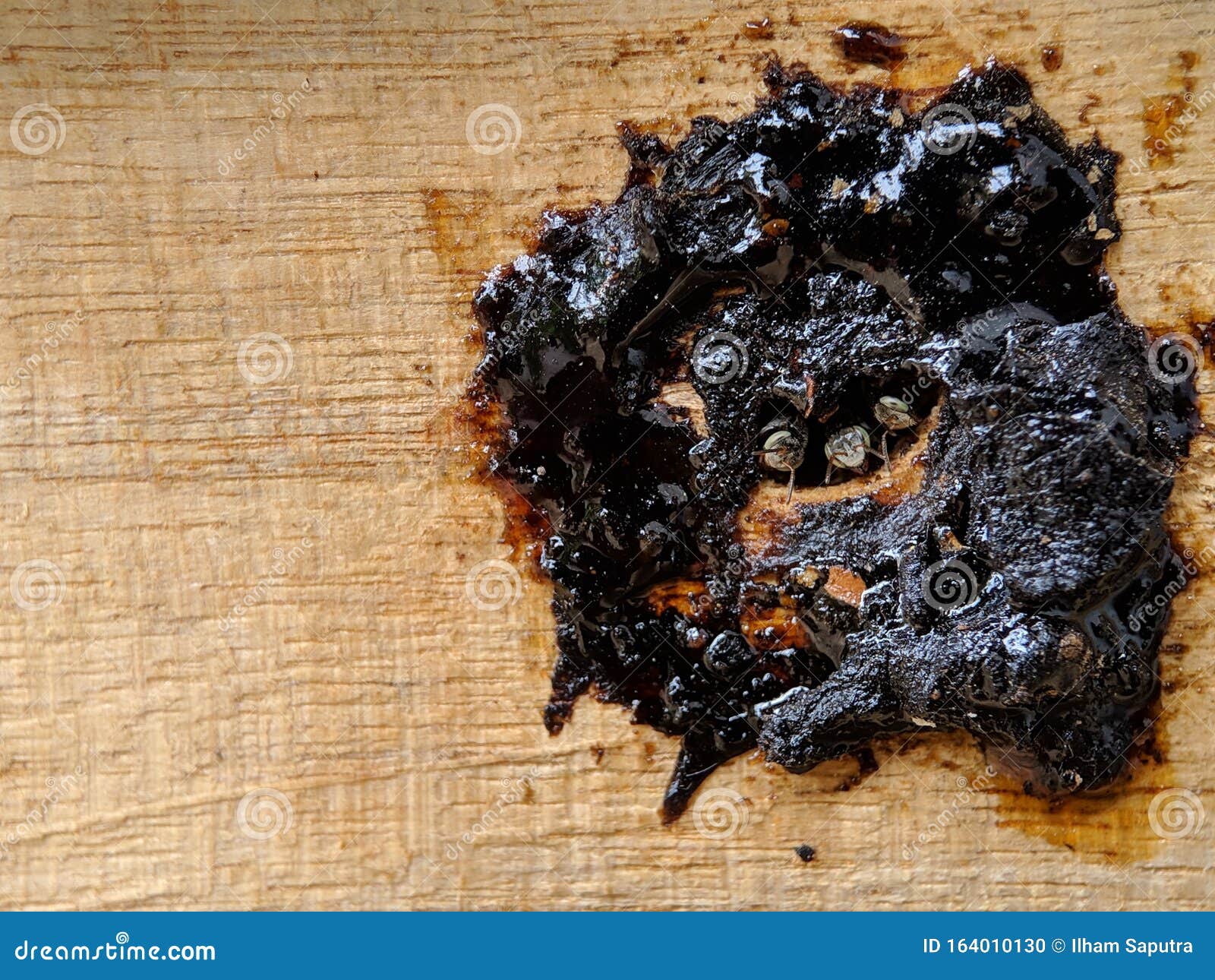 Black Propolis on the Bee Hive. Stock Photo - Image of care, healthy ...