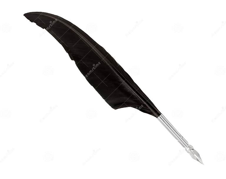 A Black Quill Isolated on White Stock Image - Image of aged, isolated ...